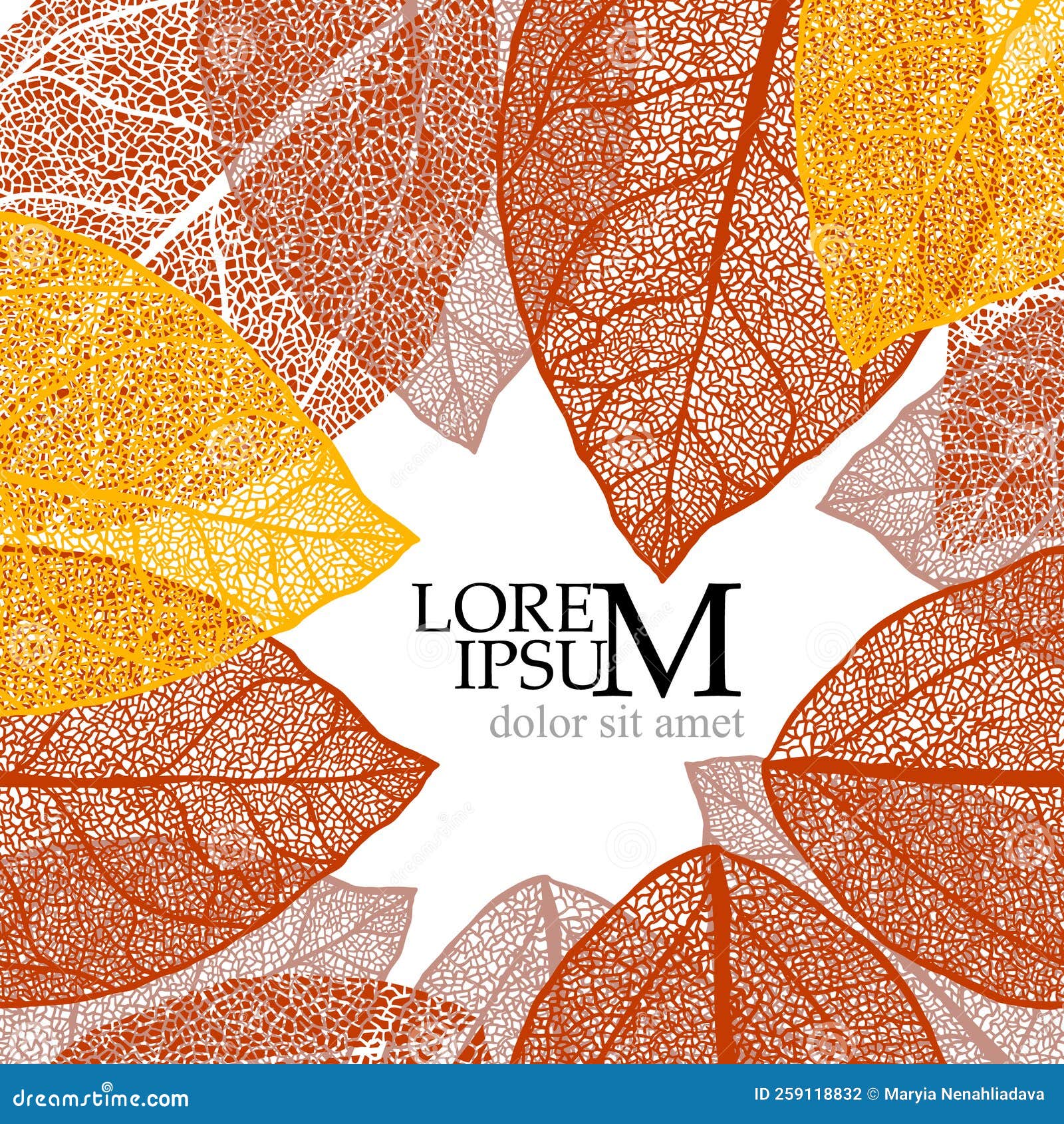 Frame with Skeletonized Leaves. Vector Illustration Stock Vector ...