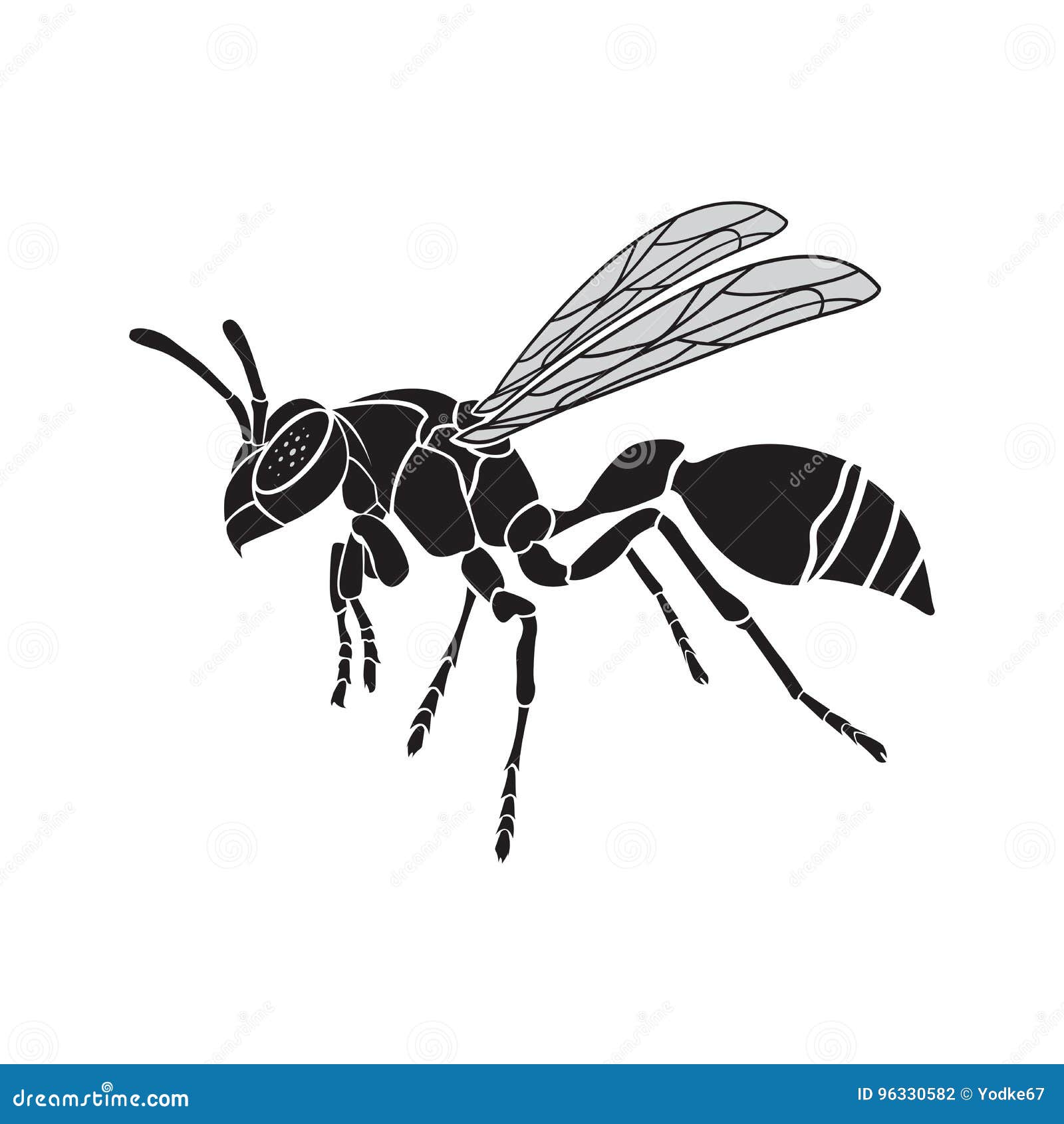 Vector of a Wasp on a White Background. Insect Stock Vector ...
