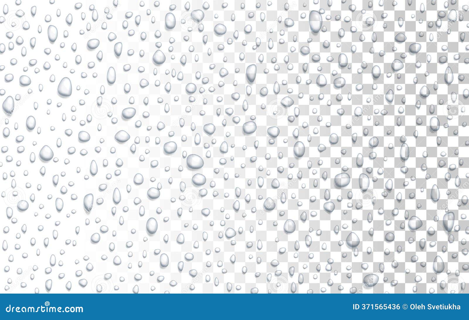 Rain Transparent Template On Transparent Background. Realistic Vector ...