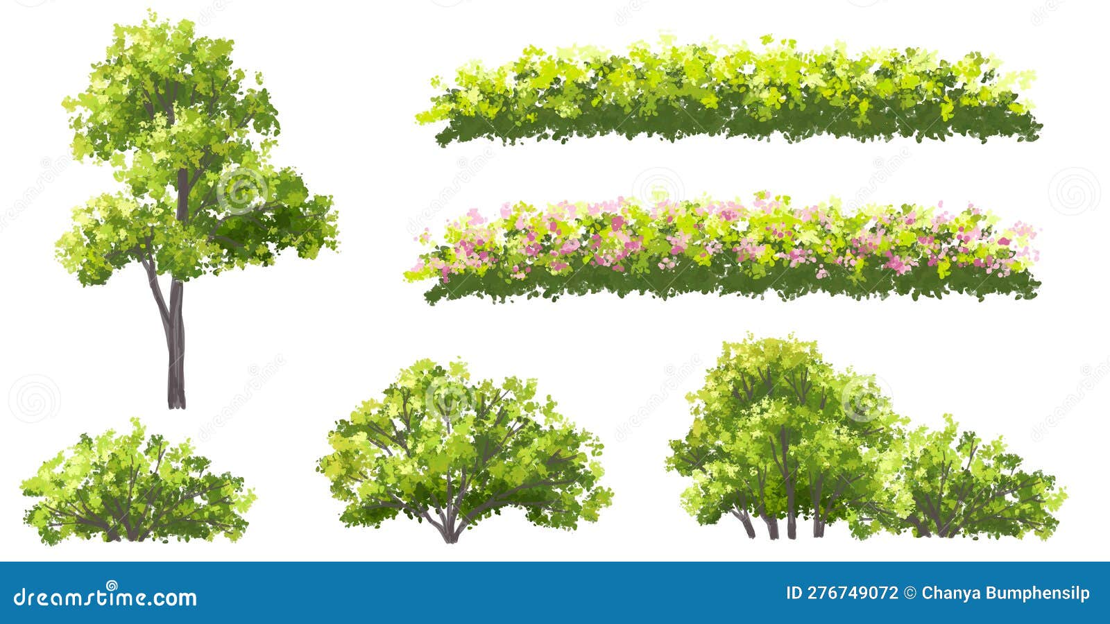 Set of Floral,botanical Garden Elevation View for Park Stock Vector ...