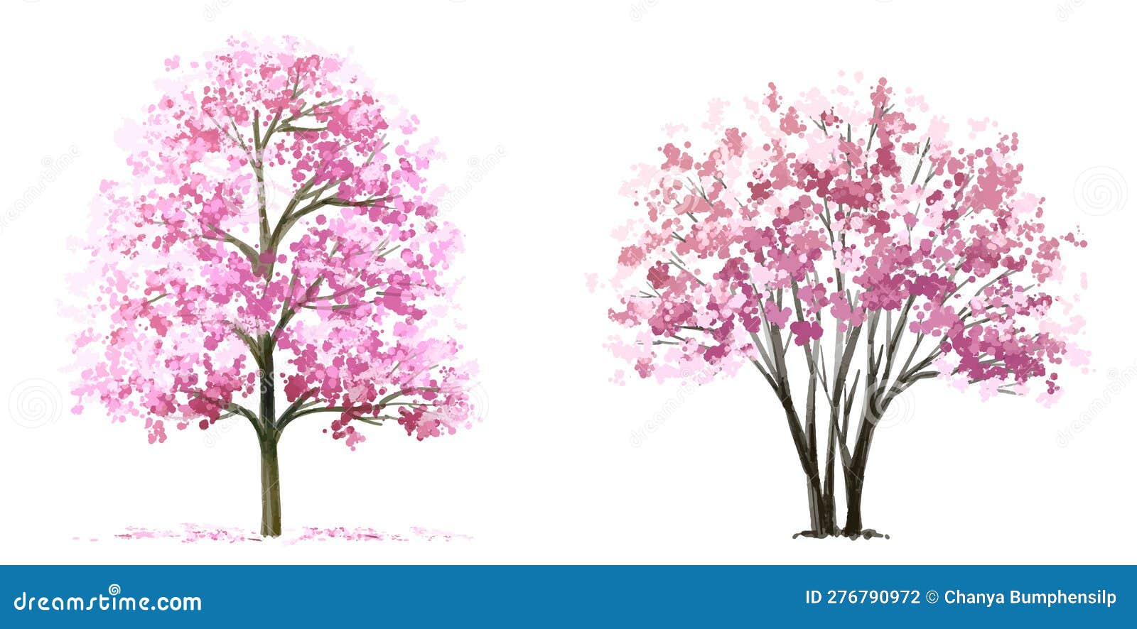 Set of Floral,botanical Garden Elevation View for Park Stock Vector ...