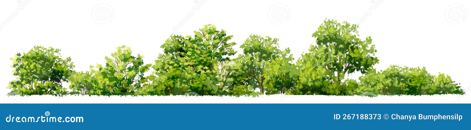 Vector Watercolor Blooming Flower Tree Side View Isolated on White ...