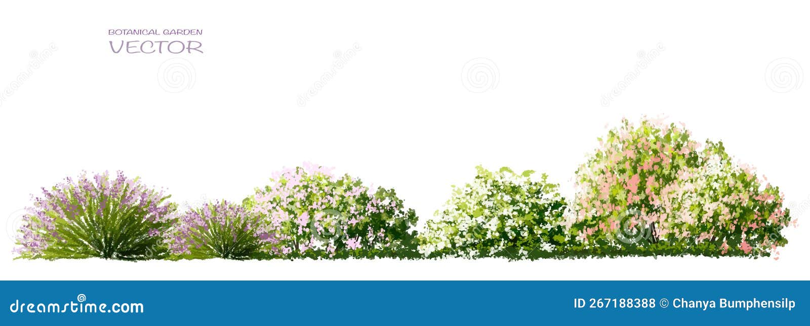 Vector Watercolor Blooming Flower Tree Side View Isolated on White ...