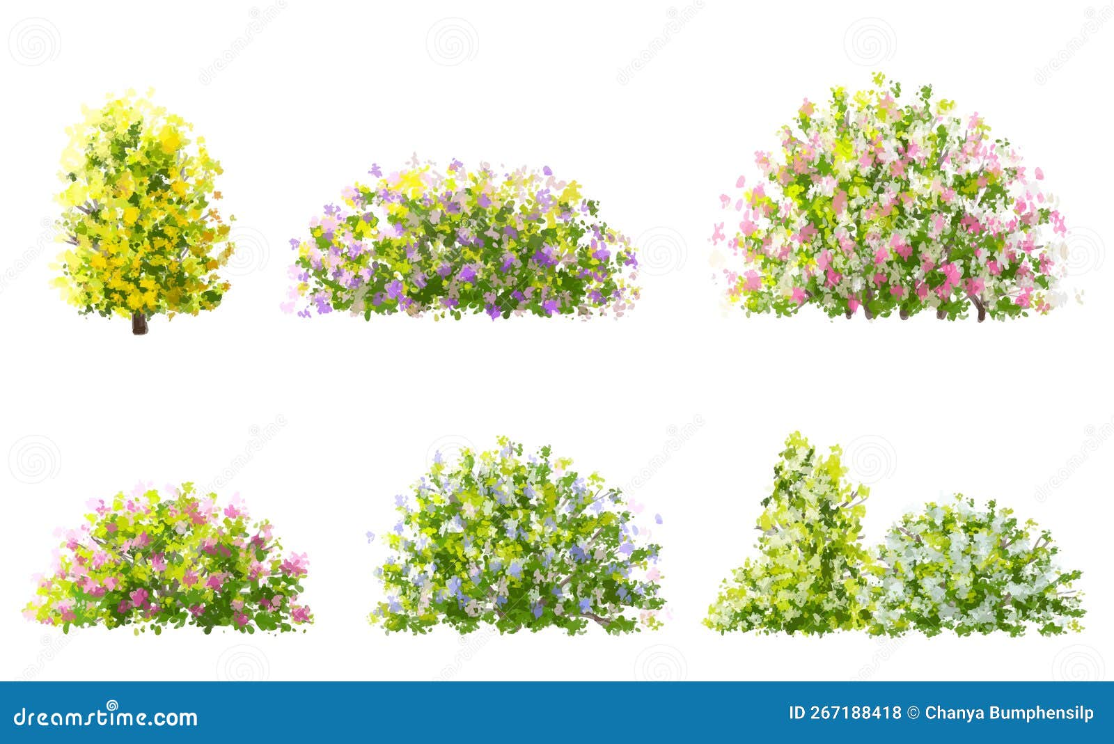 Vector Watercolor Blooming Flower Tree Side View Isolated on White ...