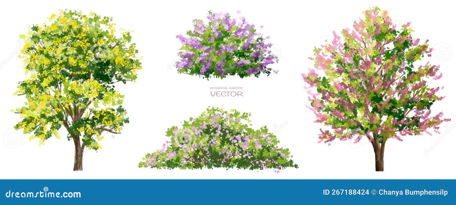Vector Watercolor Blooming Flower Tree Side View Isolated on White ...