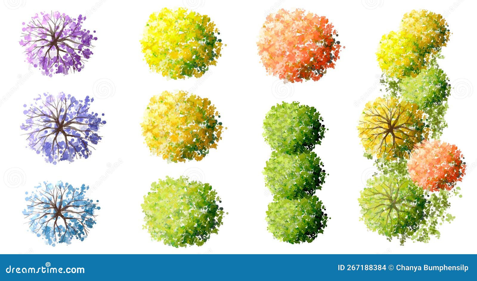 Vector Watercolor of Blooming Tree Top View Isolated on White ...