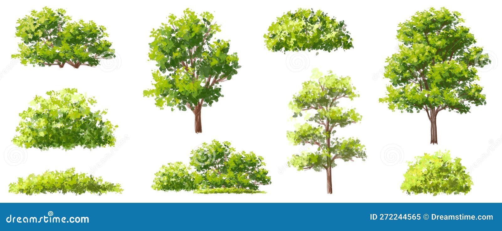 Vector Watercolor of Green Tree Elevation for Exterior View Stock ...