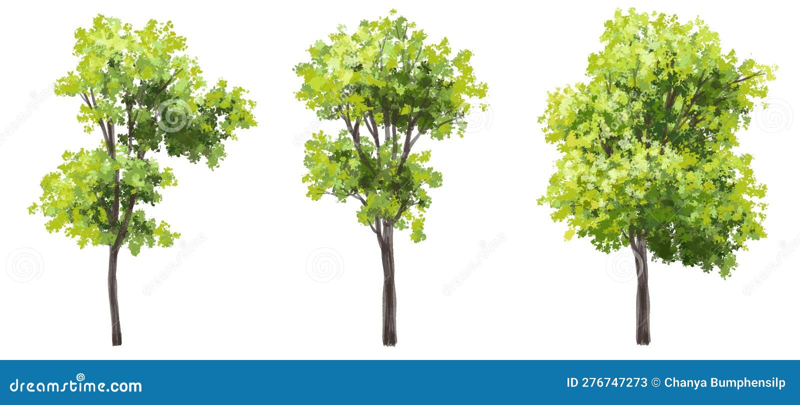 Green Tree ,forest with Grass Elevation for Landscape Scene Stock ...