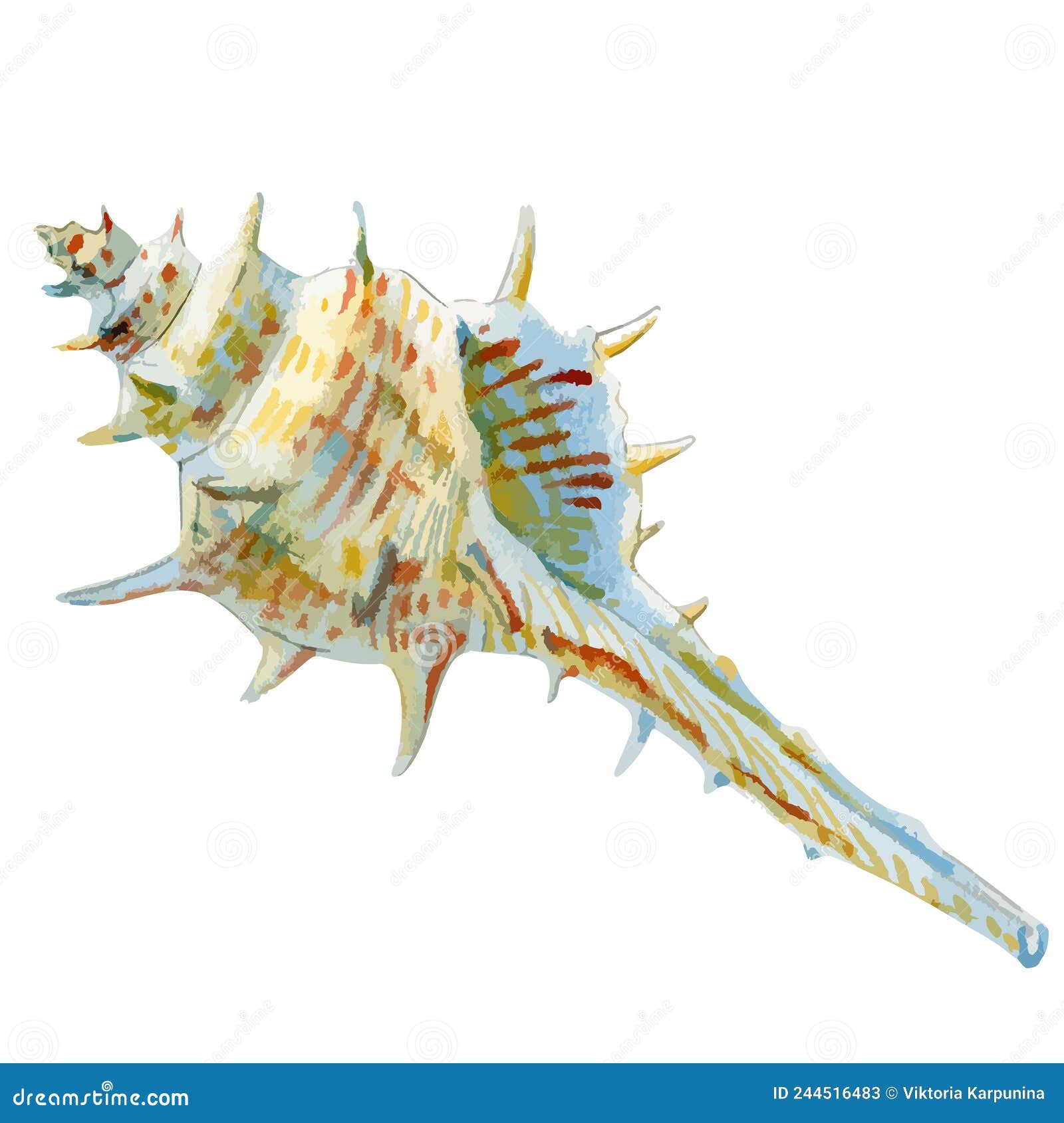 Vector Watercolor Illustration of Colorful Seashell Stock Vector ...