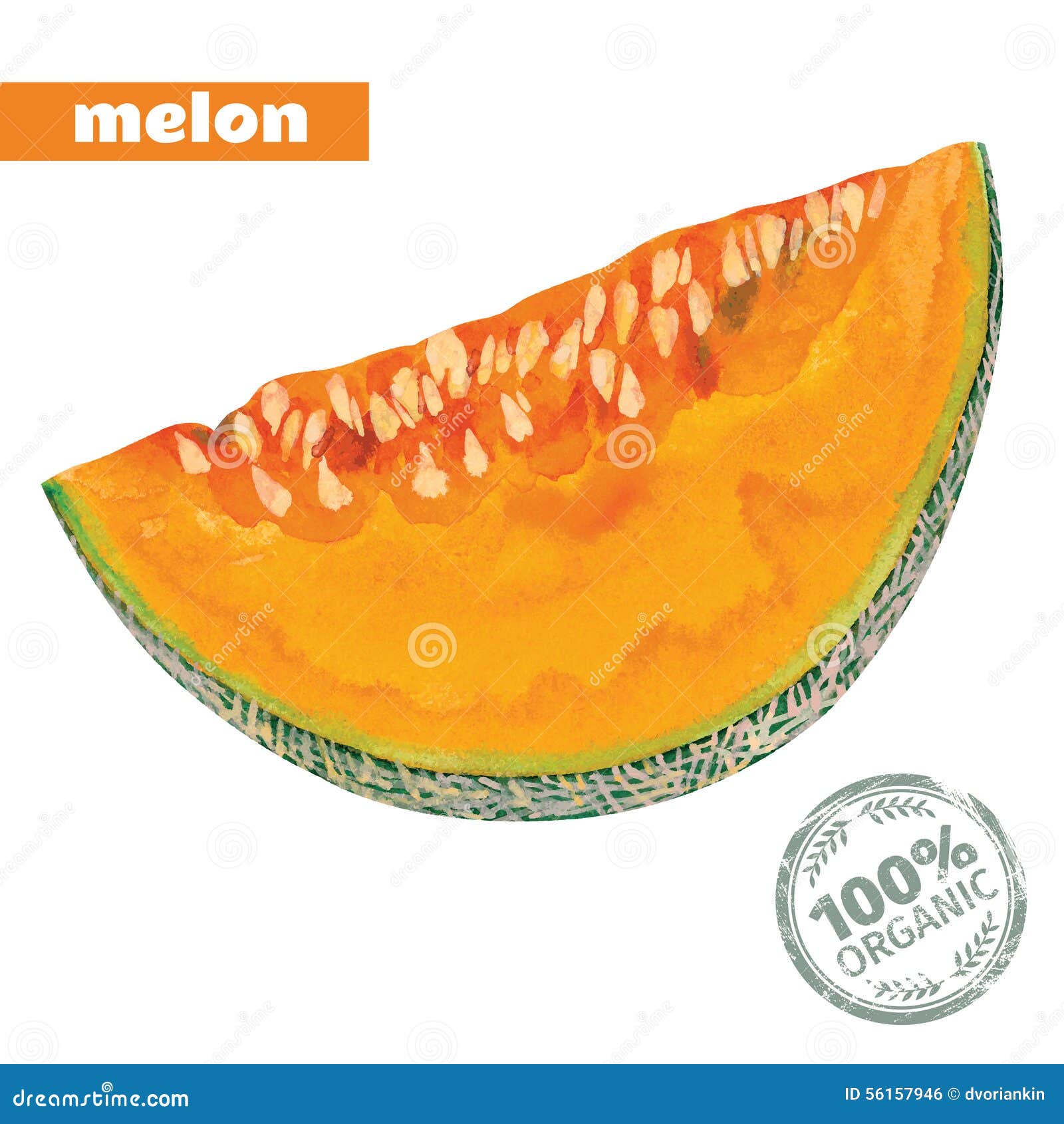 Melon Cartoons, Illustrations & Vector Stock Images - 44829 Pictures to ...