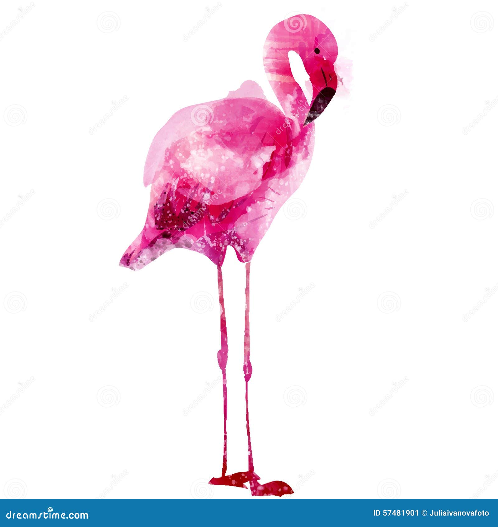 Vector Watercolor Pink Flamingo Stock Vector - Illustration of sketch ...