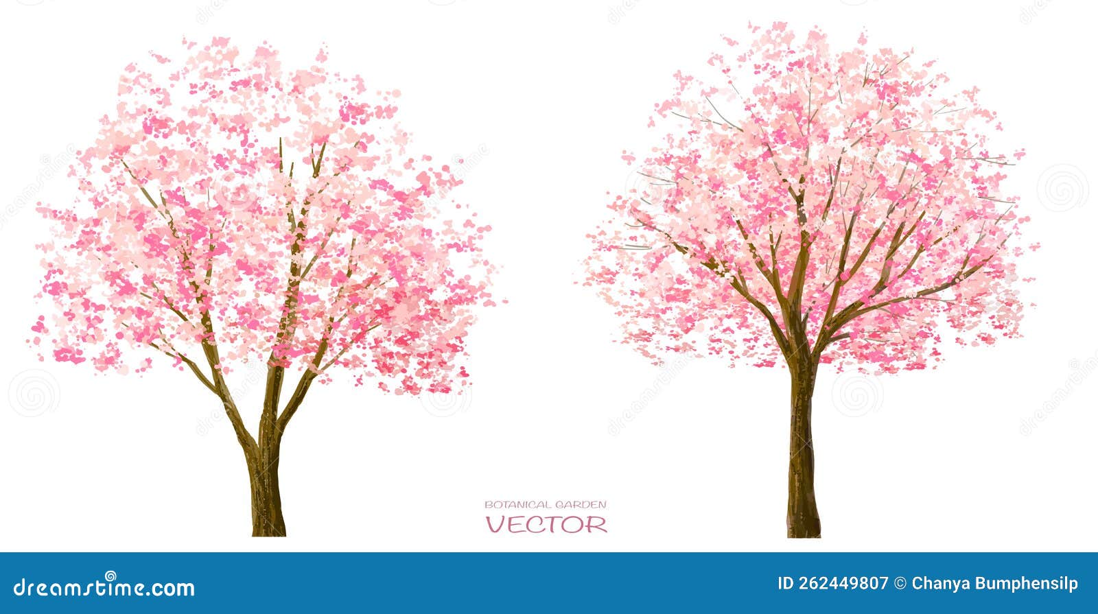 Vector Watercolor Sakura Tree or Forest Side View Isolated on White ...