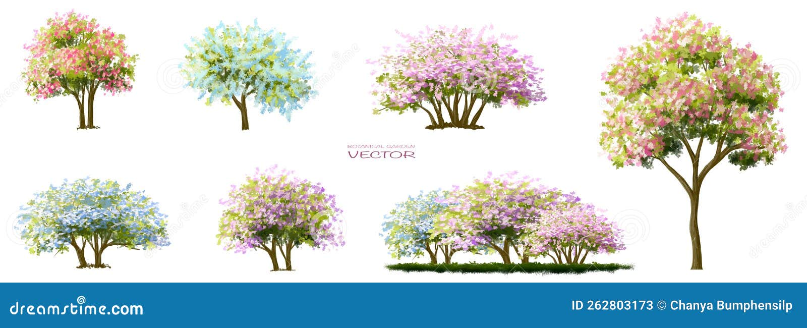 Vector Watercolor Set of Flower Tree Side View Isolated on White ...