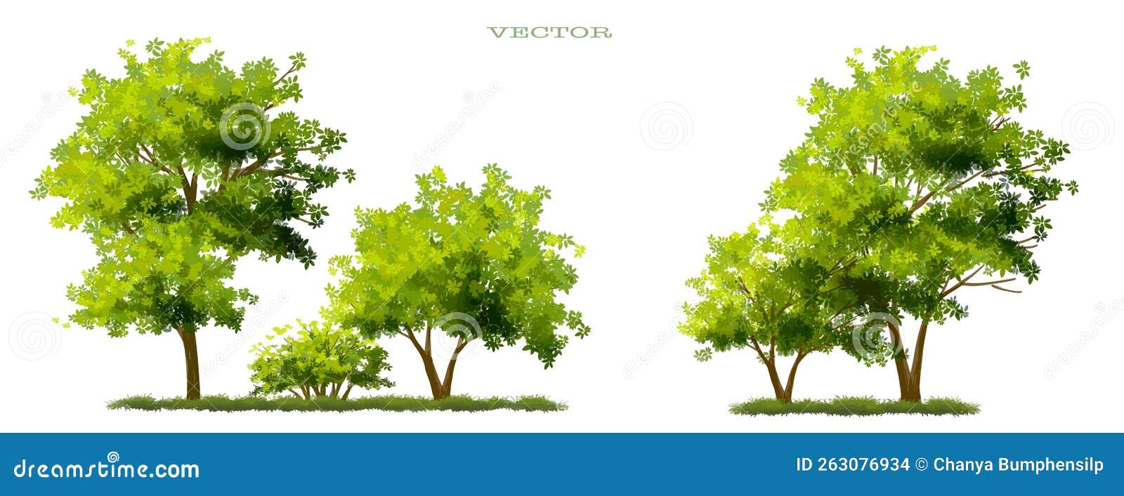 Vector Watercolor Set of Flower Tree Side View Isolated on White ...