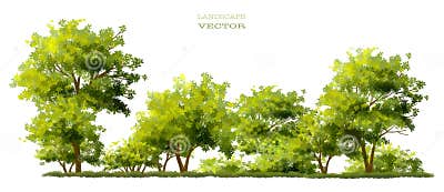 Vector Watercolor Set of Tree Side View Isolated on White Background ...