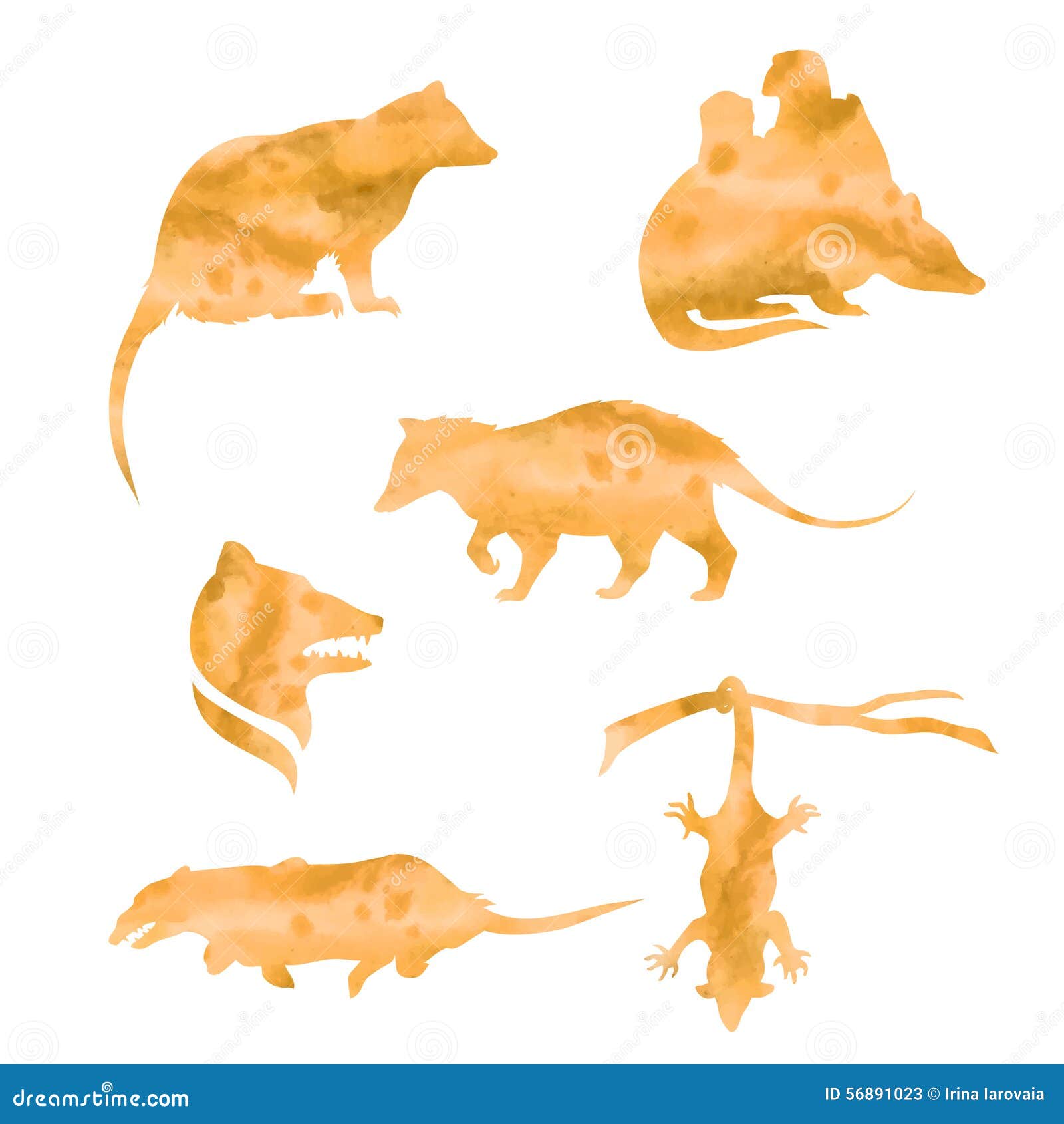 Vector Watercolor Silhouettes of a Opossum Stock Vector - Illustration ...