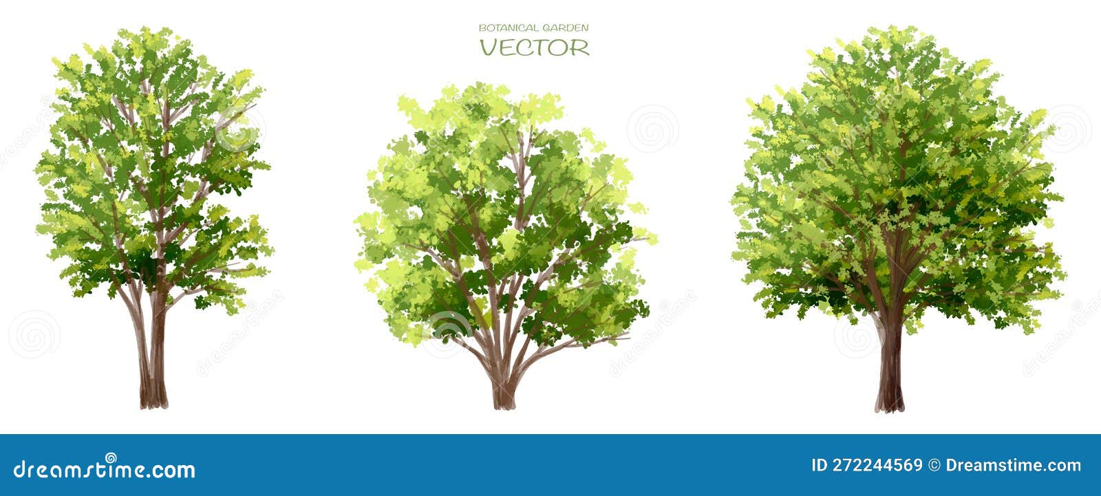Green Tree Elevation for Landscape Scene Stock Vector - Illustration of ...