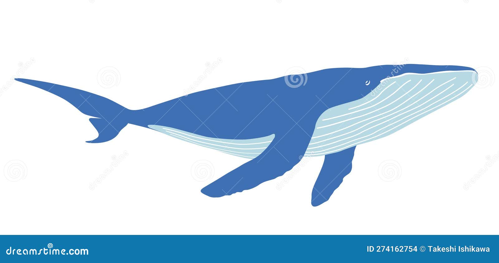 Vector Whale Flat Illustration Isolated on a White Background. Stock ...
