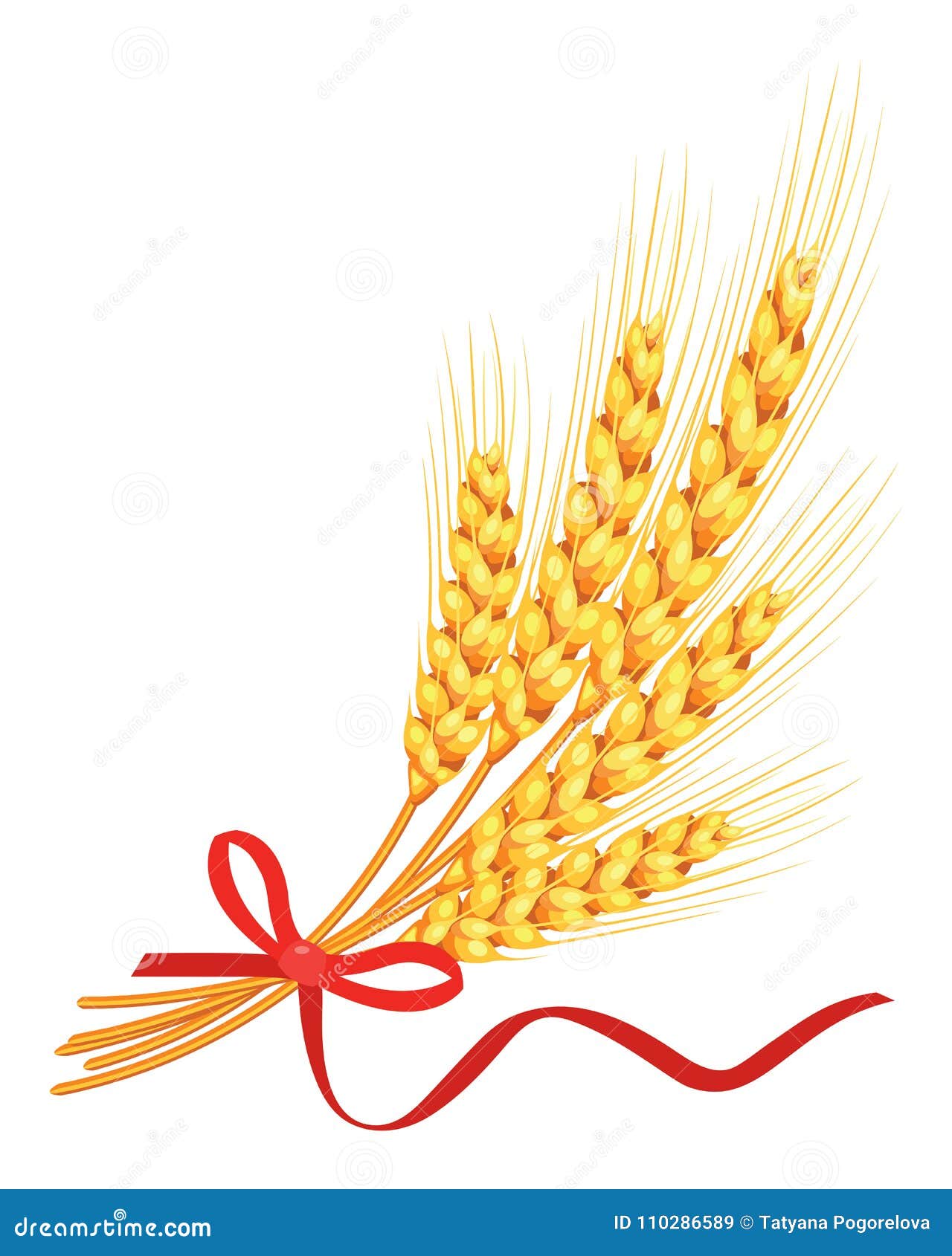 Vector Wheat with Red Ribbon on White Background Isolated. Vector ...
