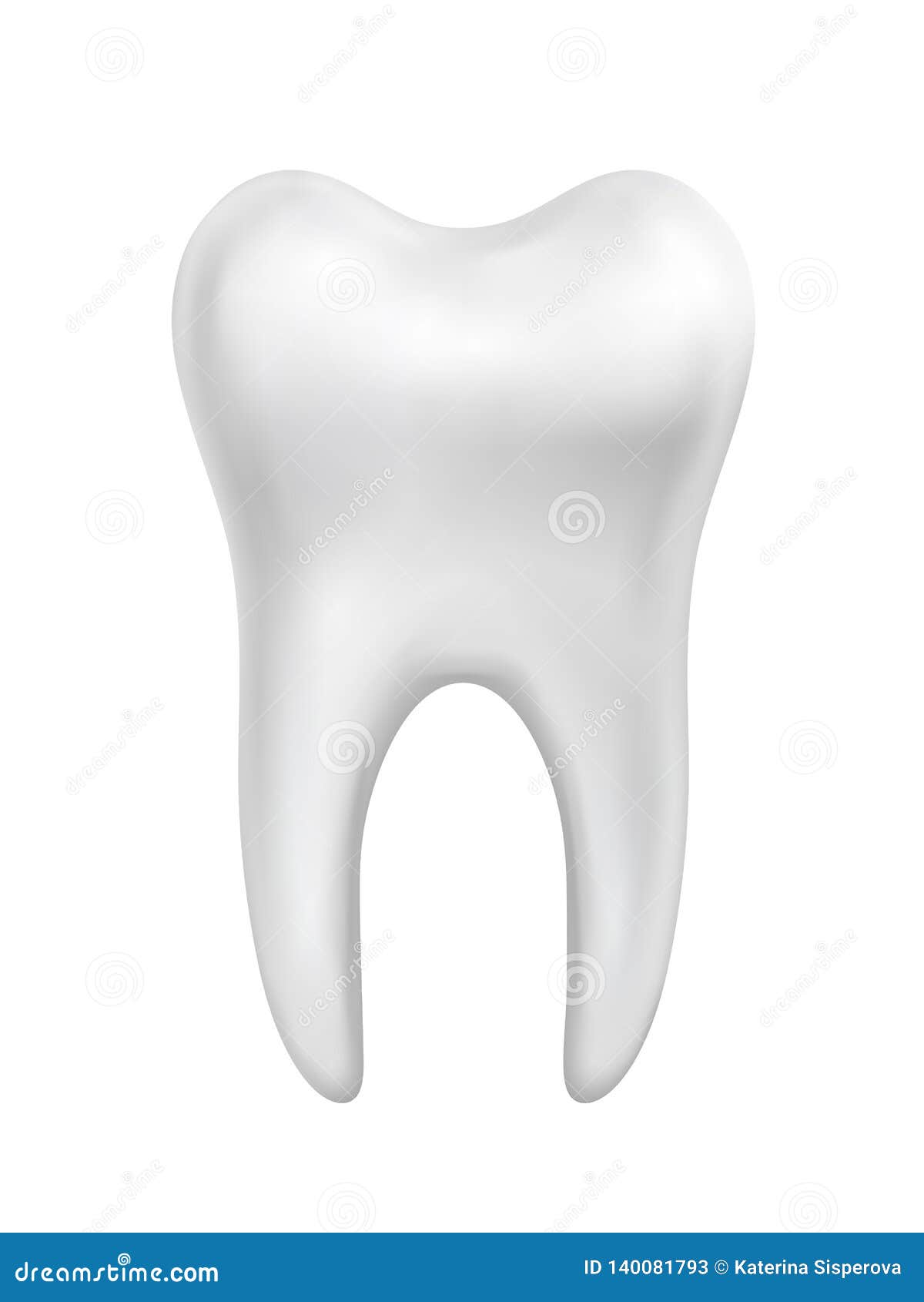 Vector White Beautiful Shiny Tooth Illustration Isolated On White ...