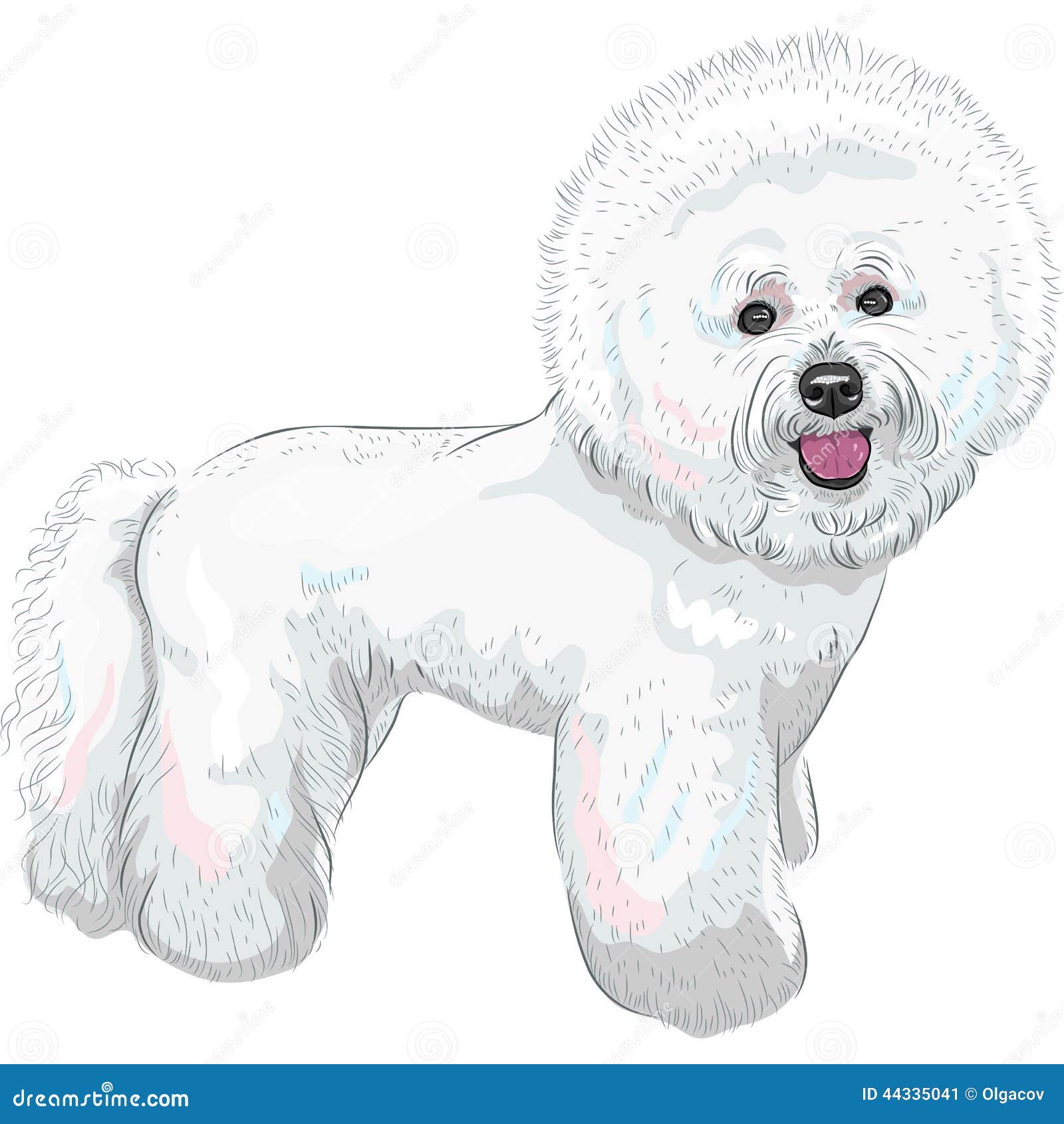 Bichon Frise Dog Coloring Page Cartoon Vector | CartoonDealer.com ...