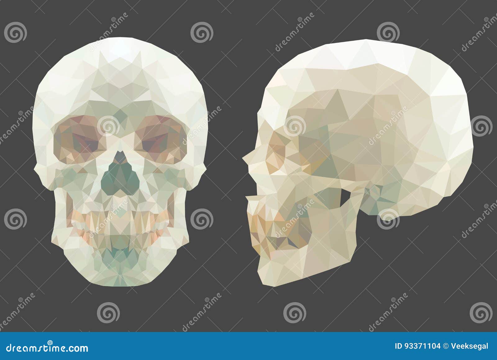 Low Poly Skull Front With Colorful Pop Art Style Vector Illustration ...