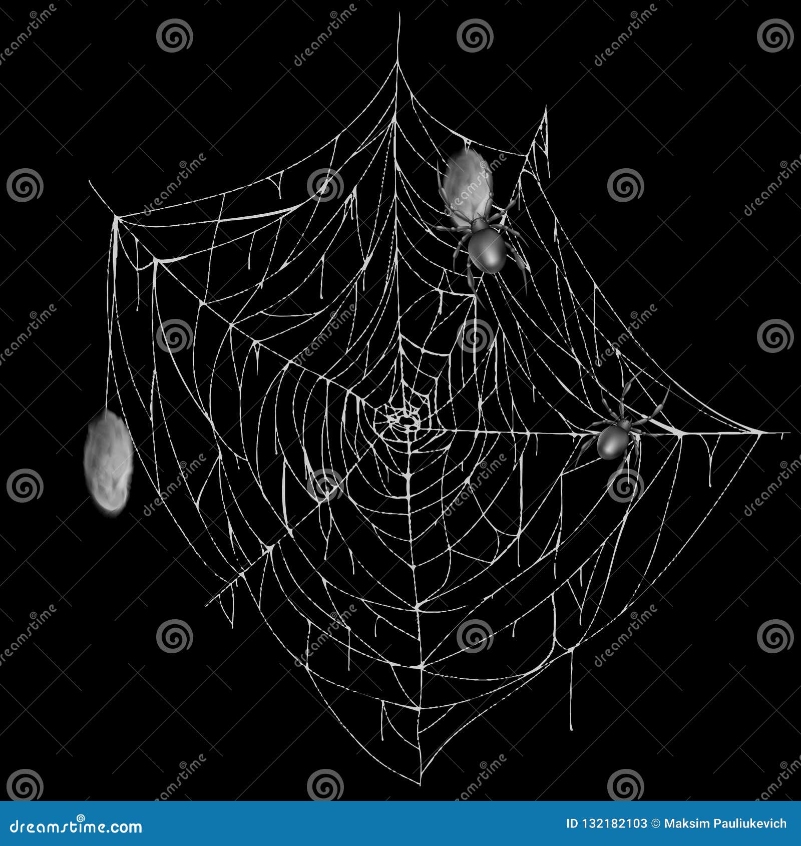 Vector White Spiderweb With Spiders And Cocoons | CartoonDealer.com ...