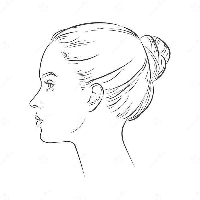 Vector Woman Face In Profile Portrait Of Girl Looking Side And Front
