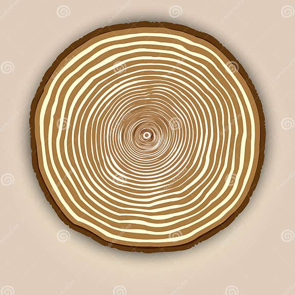 Vector Wood Texture Background with Tree Rings Stock Vector ...