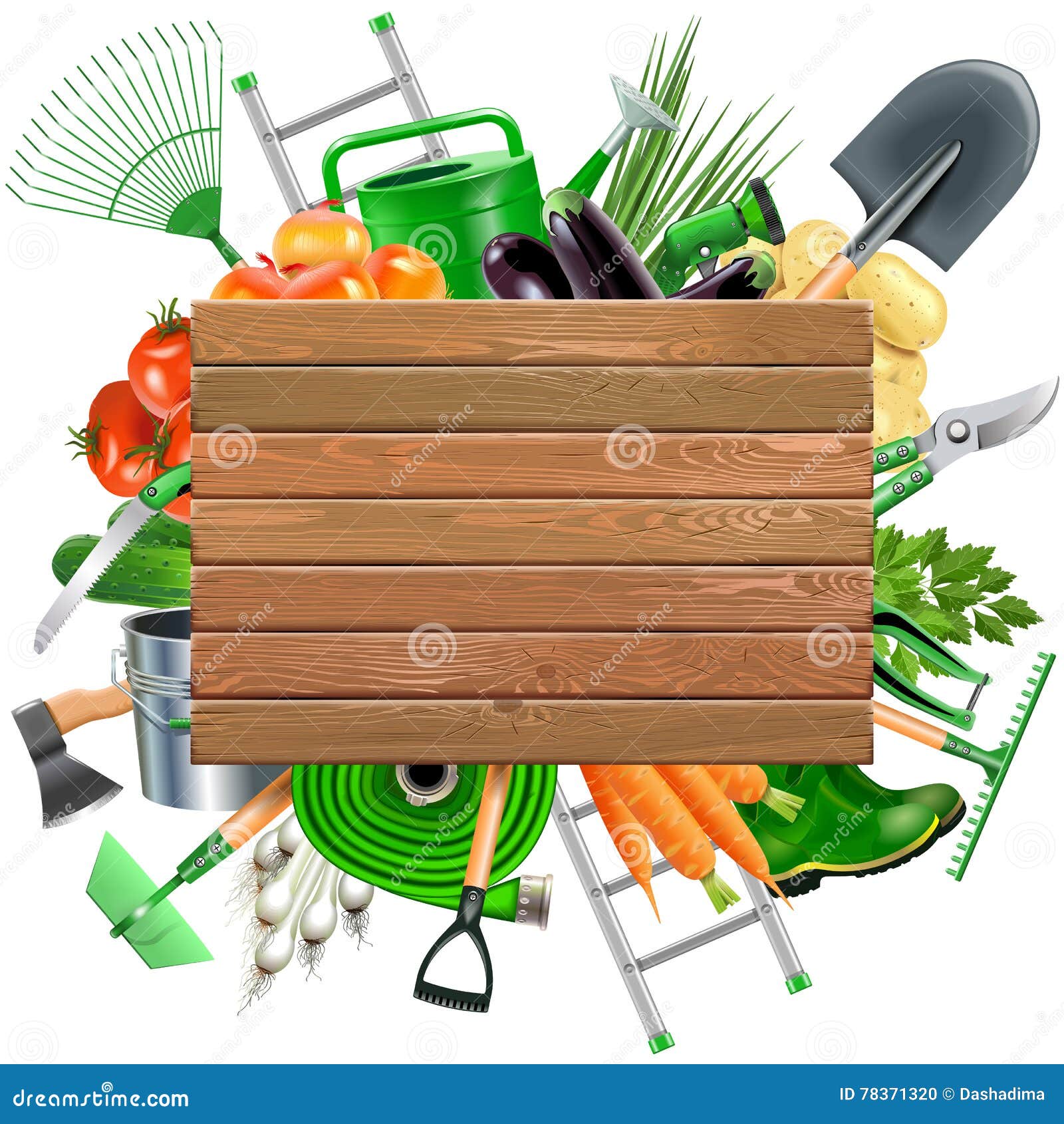 Vector Wooden Board with Garden Accessories Stock Vector - Illustration ...