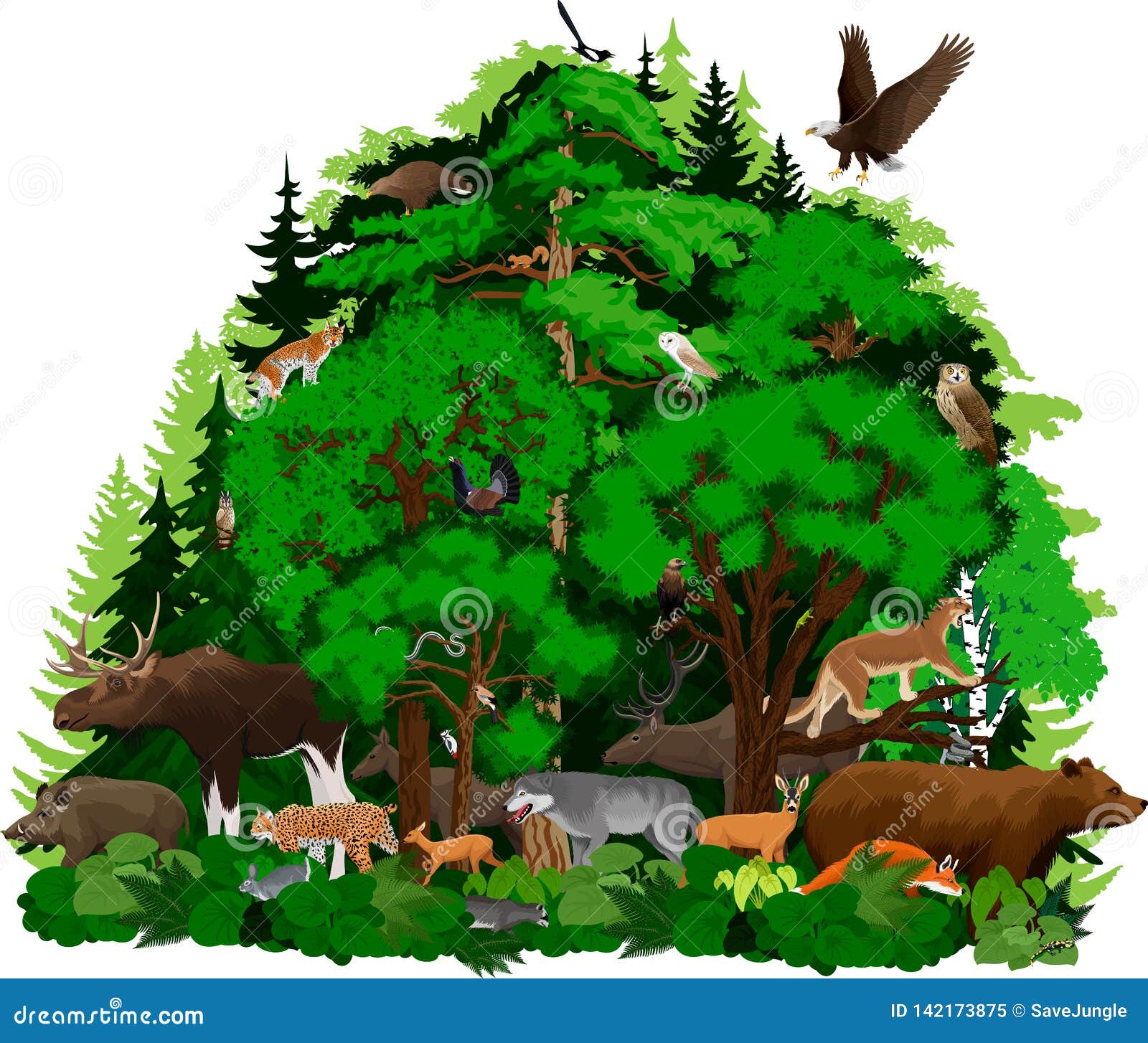 Vector Set Of Woodland Animals Silhouettes | CartoonDealer.com #114664548