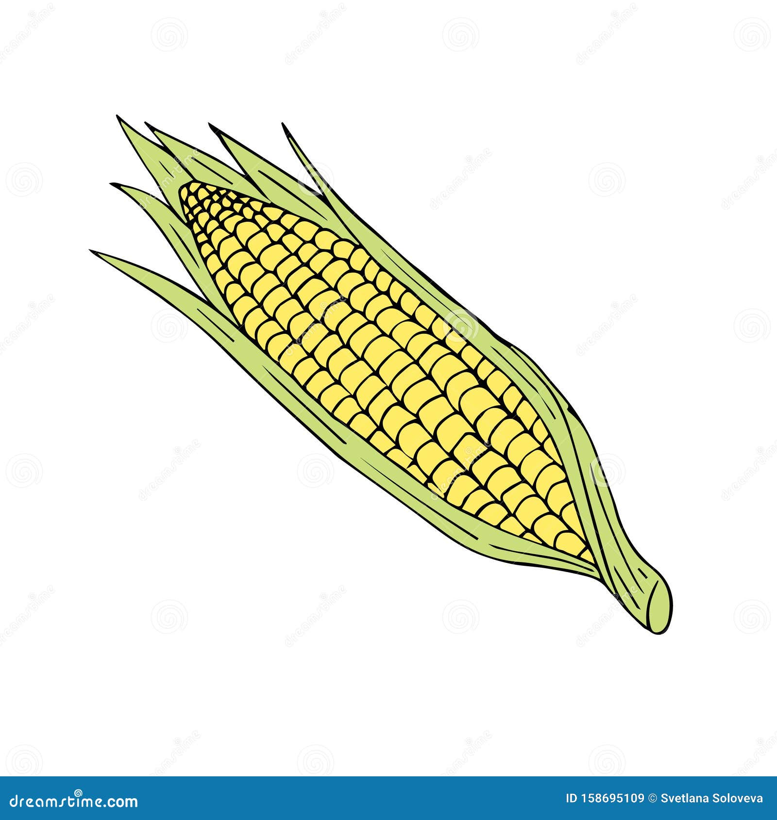 Vector Yellow Hand Drawn Sketch Corn Stock Illustration - Illustration ...