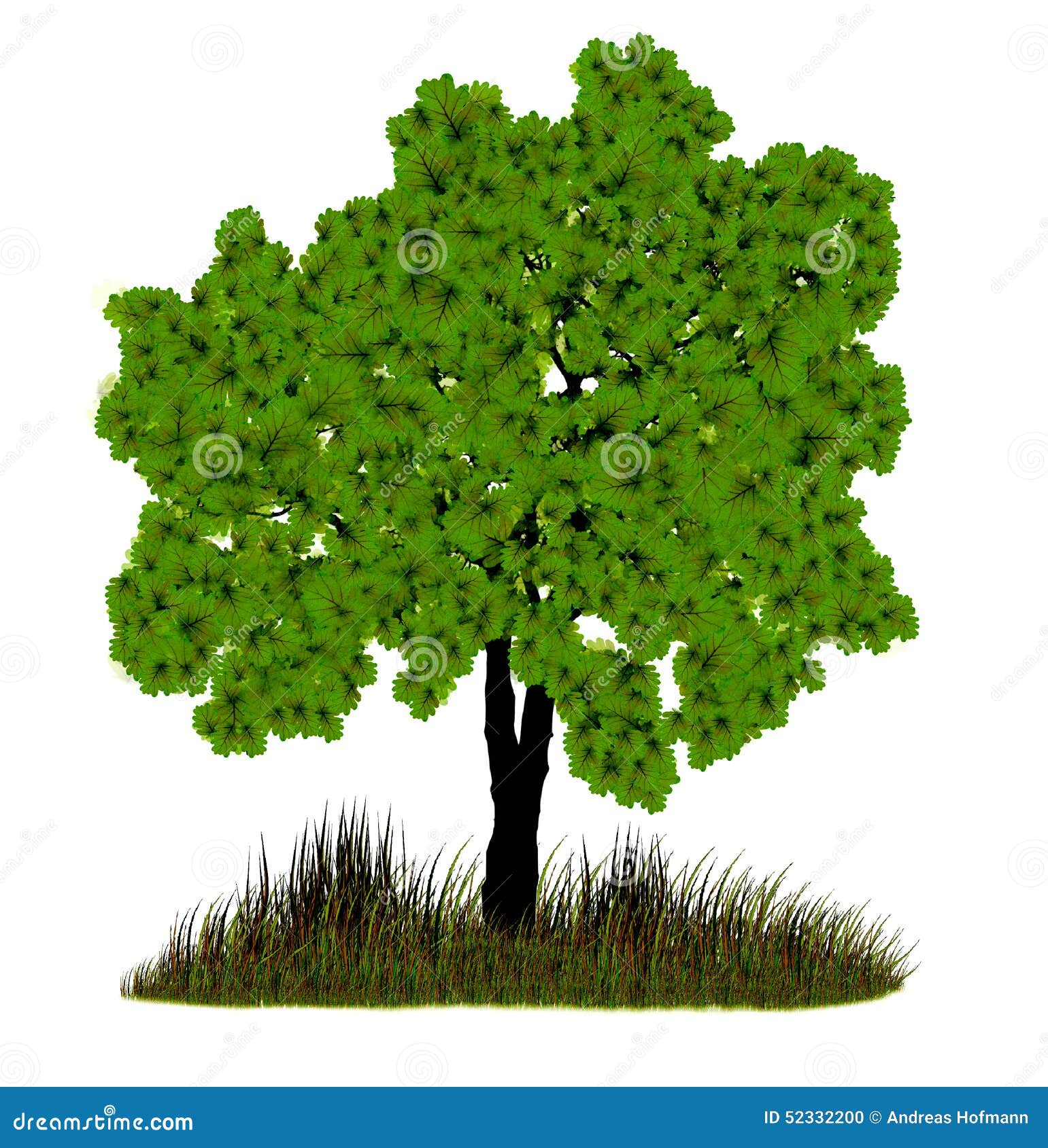 Vector young tree stock illustration. Illustration of bush - 52332200