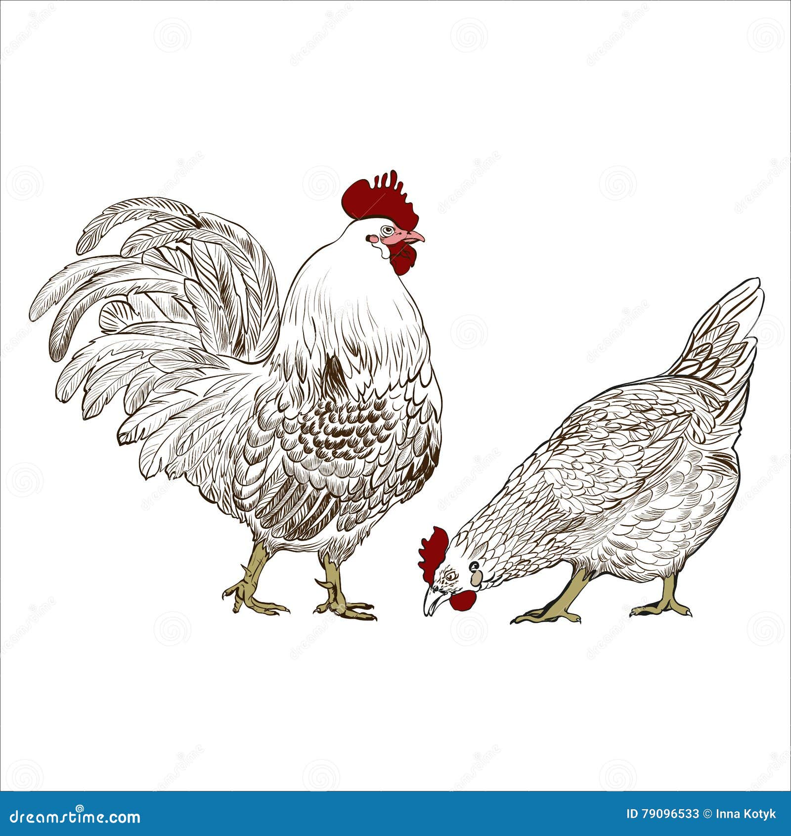 Vector Zeichnung Eines Hahns Und Der Henne Vektor Abbildung ...