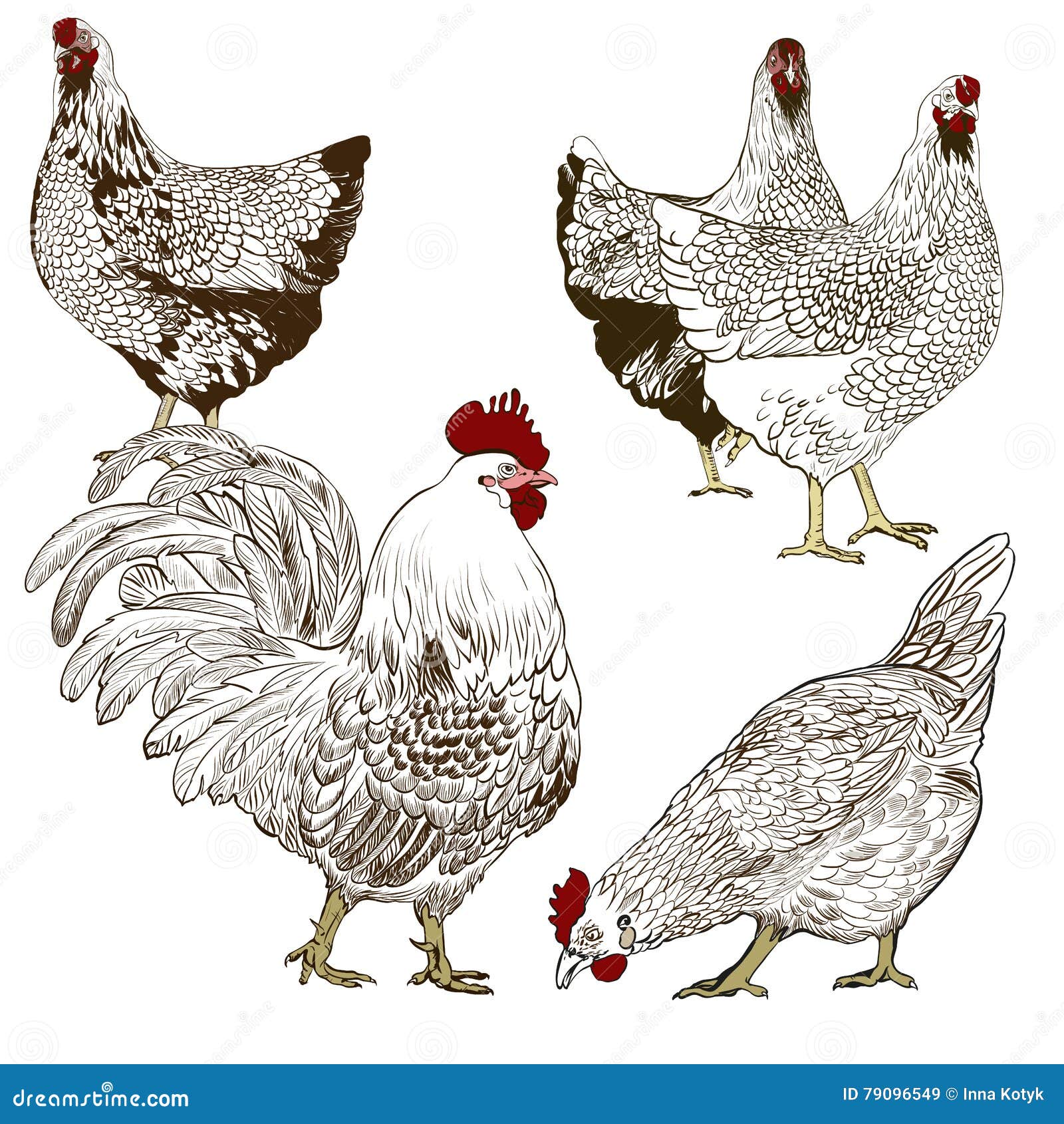 Vector Zeichnung Eines Hahns Und Hennen Vektor Abbildung - Illustration ... Vector Zeichnung Eines Hahns Und Hennen Vektor Abbildung - Illustration ...