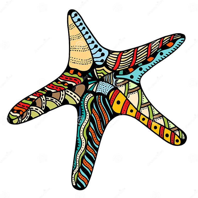 Vector zentangle starfish stock vector. Illustration of beauty - 67956323