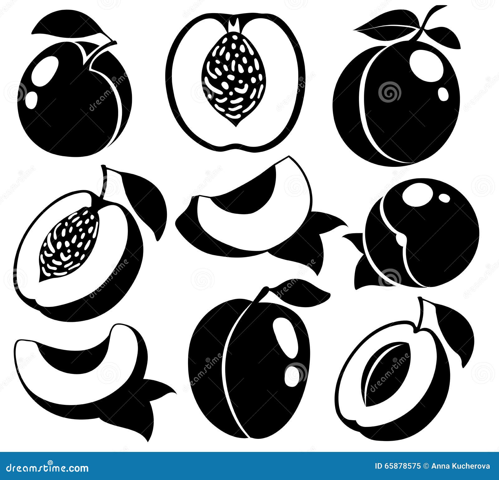 Vector Zwart-witte Perziken En Abrikozen Vector Illustratie ...