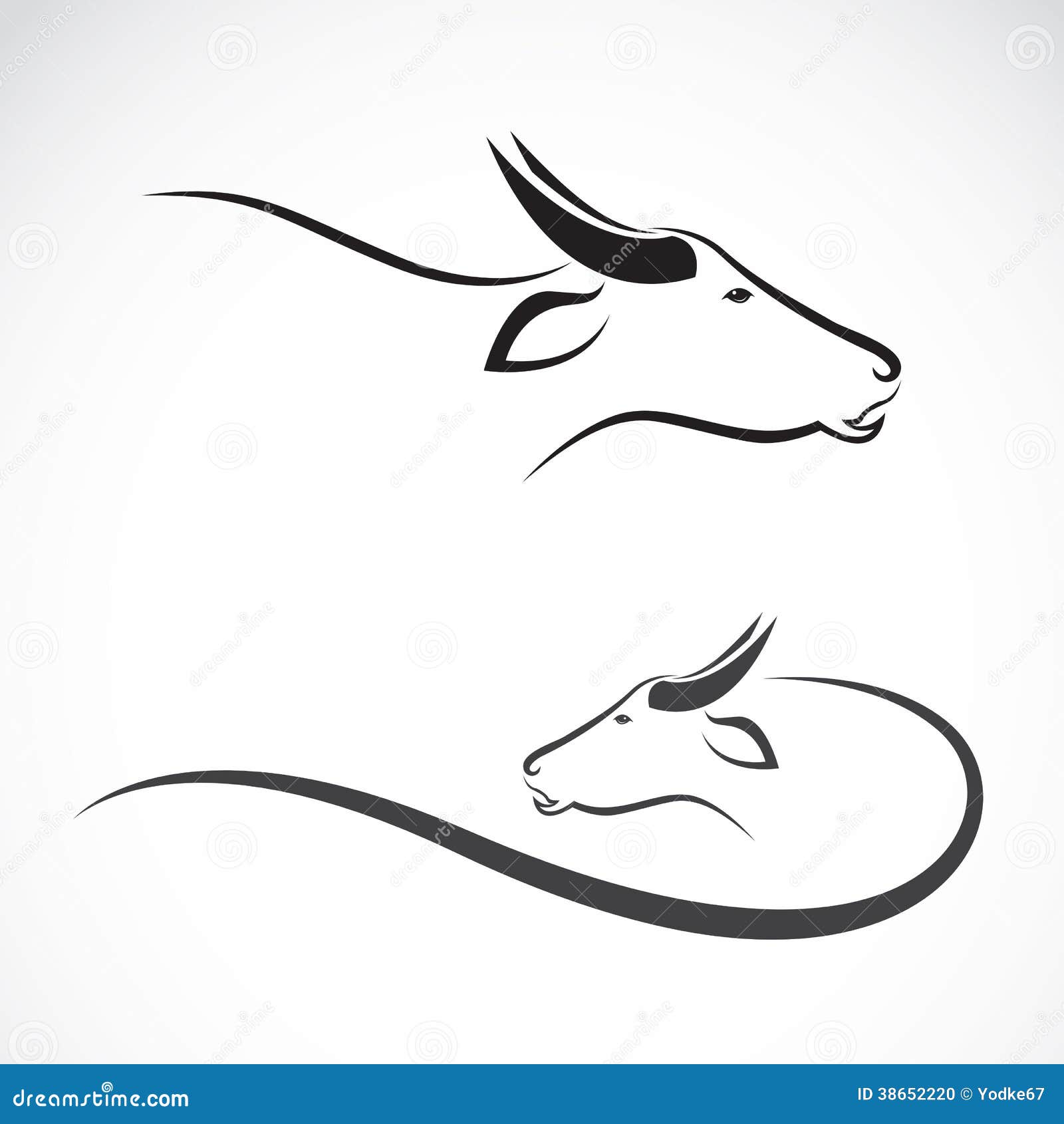 Vectorbeeld van een buffel vector illustratie. Illustration of stier ...
