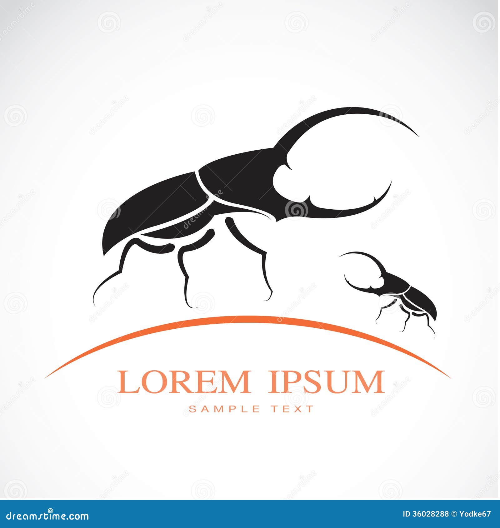 Vectorbeeld van een kever vector illustratie. Illustration of kevers ...