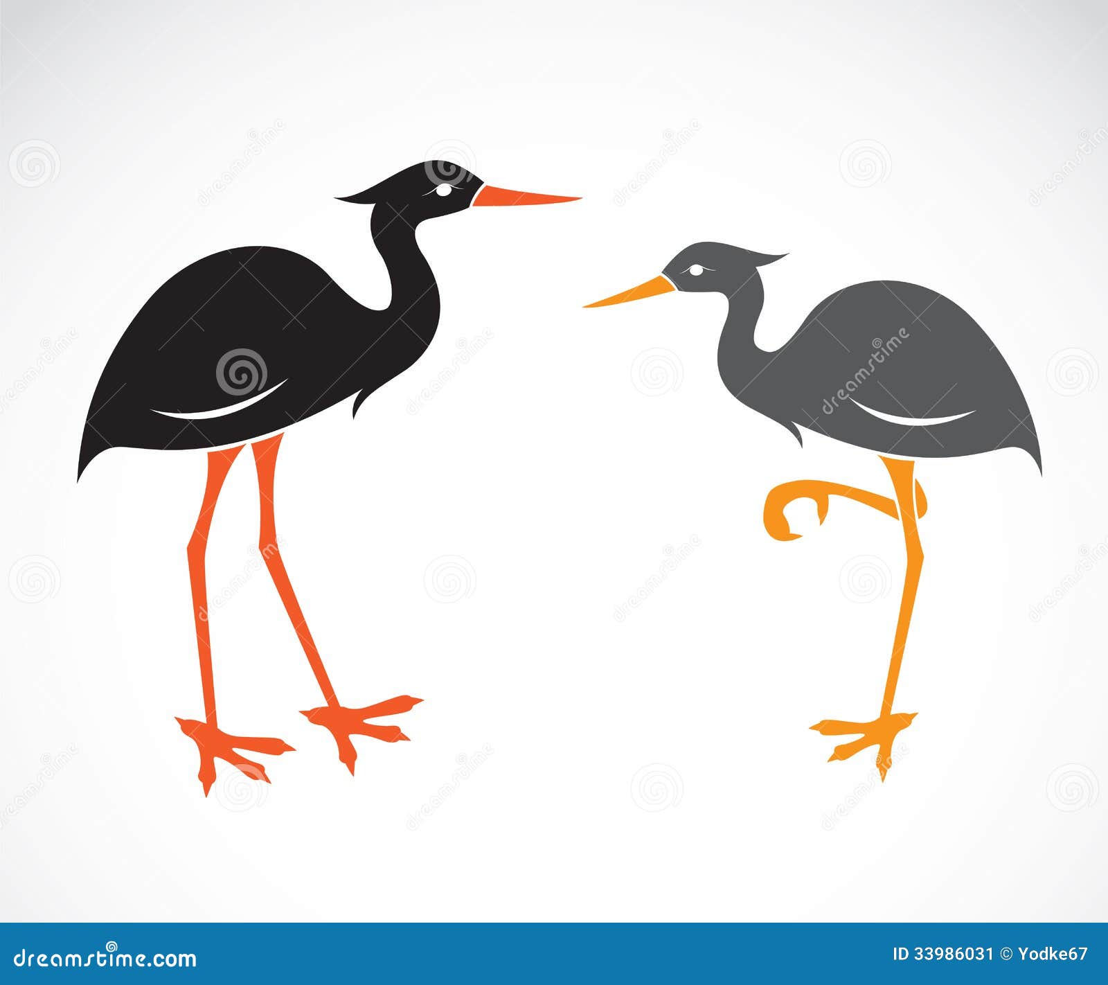 Vectorbeeld Van Een Ooievaar Vector Illustratie - Illustration of ...