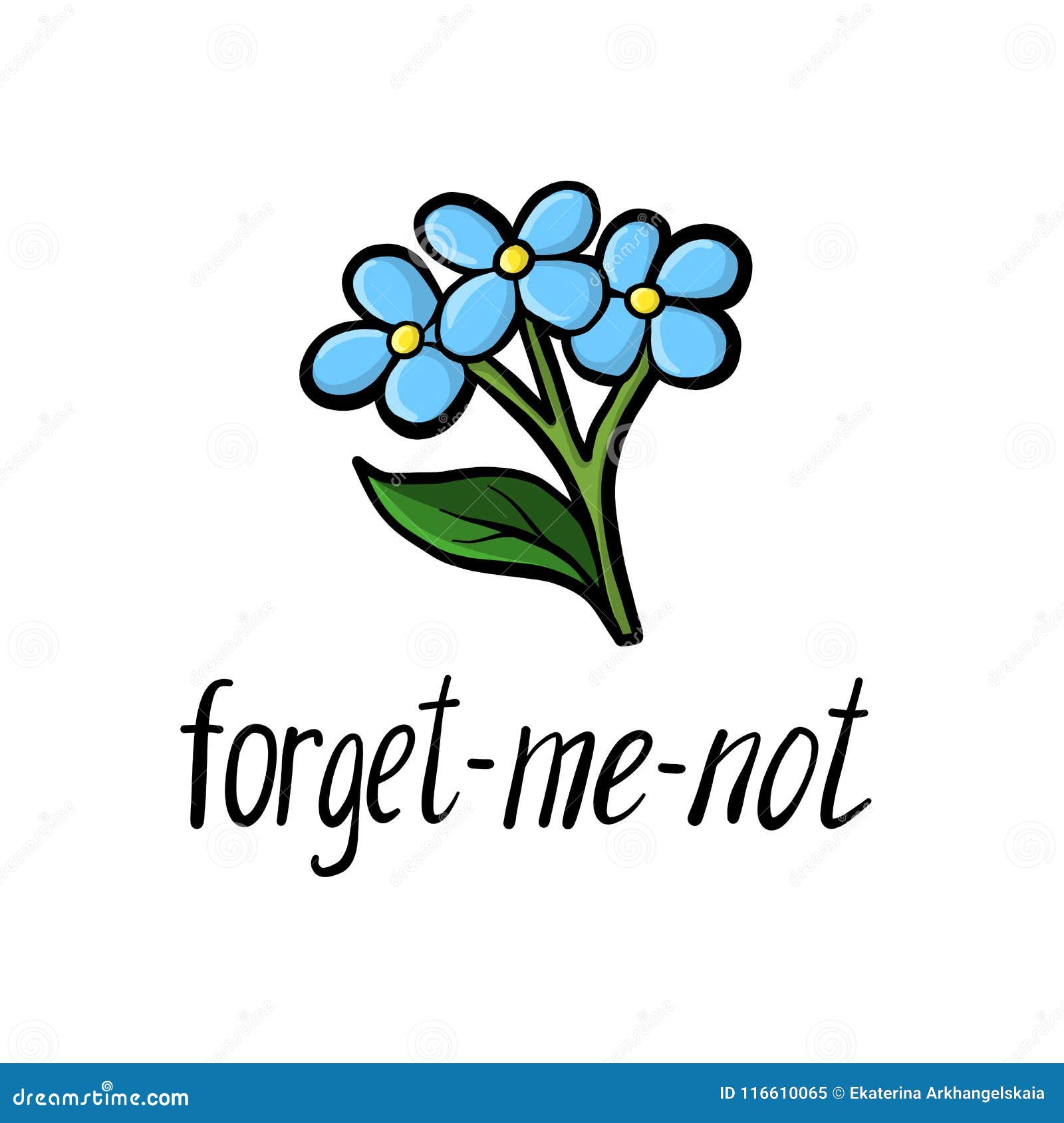 Vectorbloem Van Vergeet-mij-nietje Vector Illustratie - Illustration of ...