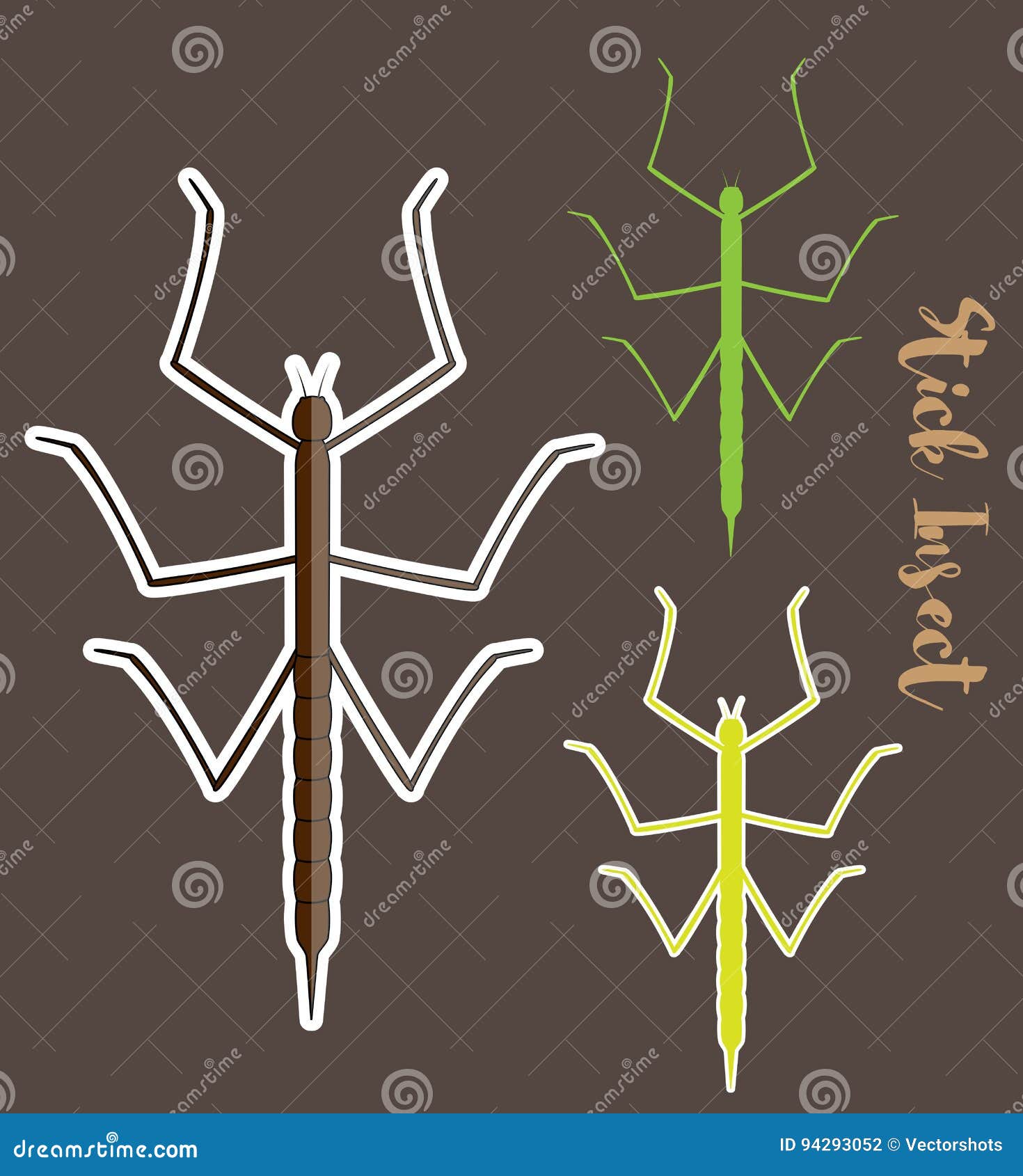 Vectores De Insectos De Palillo Ilustración del Vector - Ilustración de ...