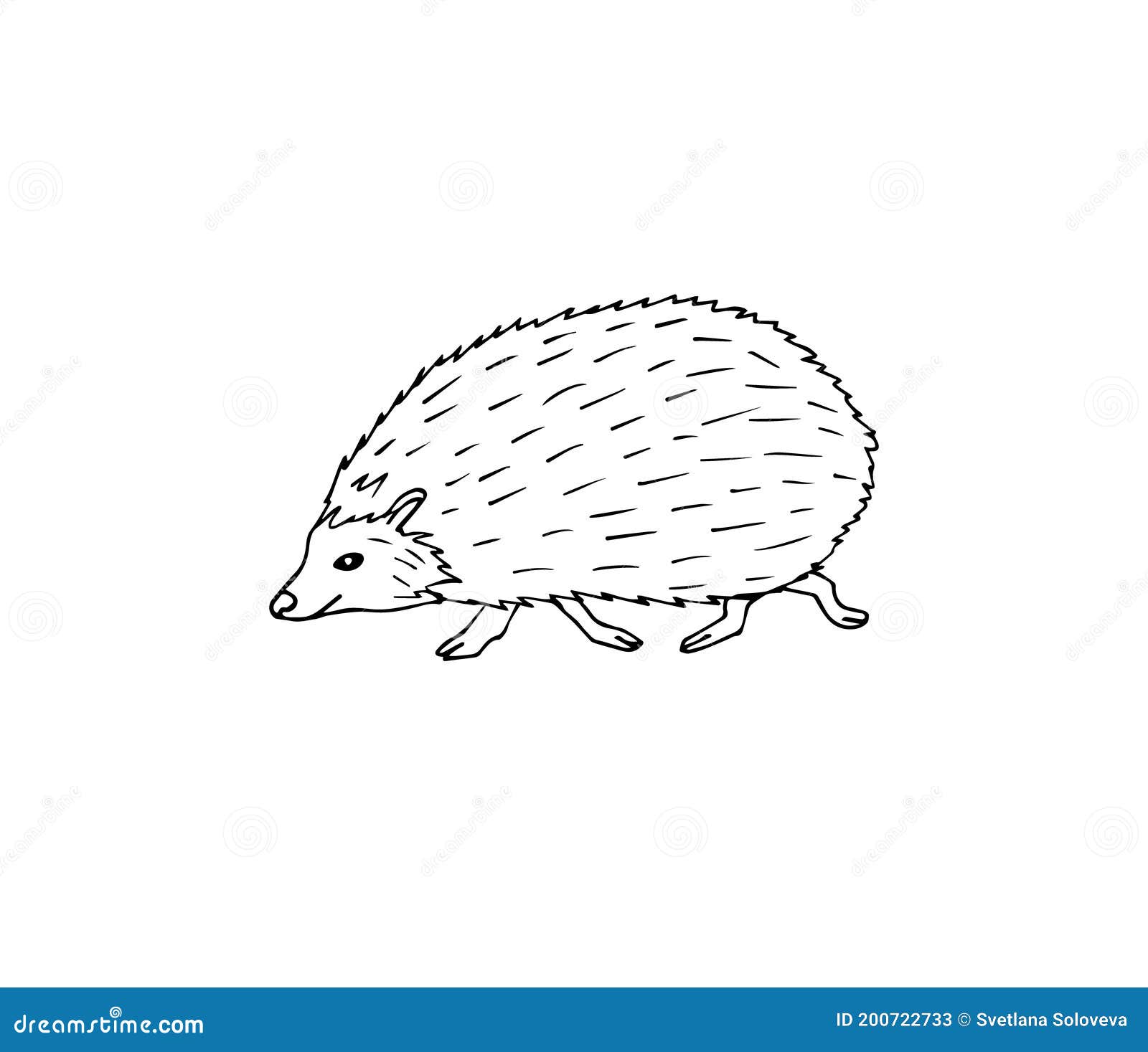 Vectorhand Getrokken Doodle Sketch Egel Stock Illustratie ...