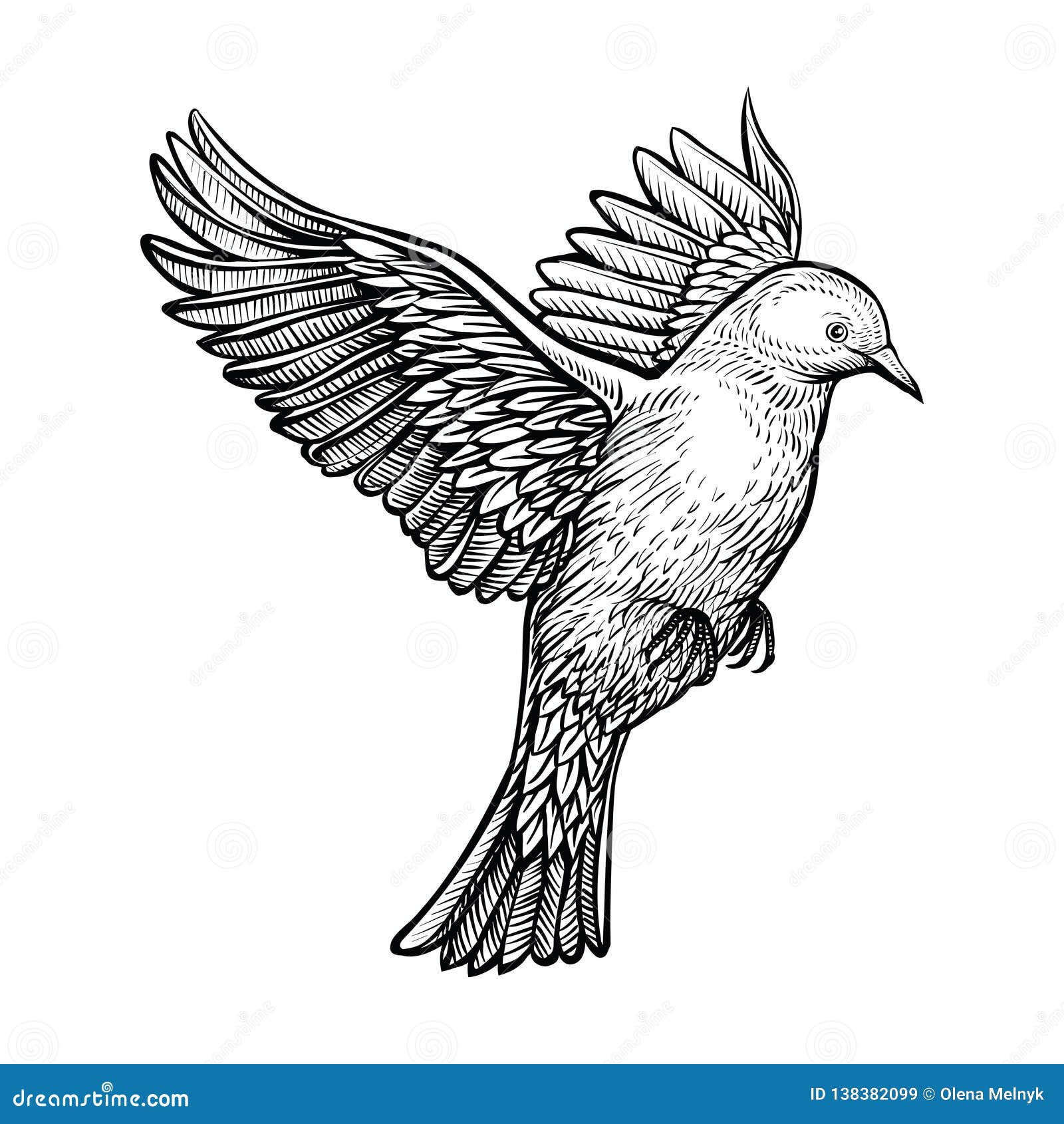 Vectorhand Getrokken Vliegende Duif Schets Van Witte Duif Vector ...