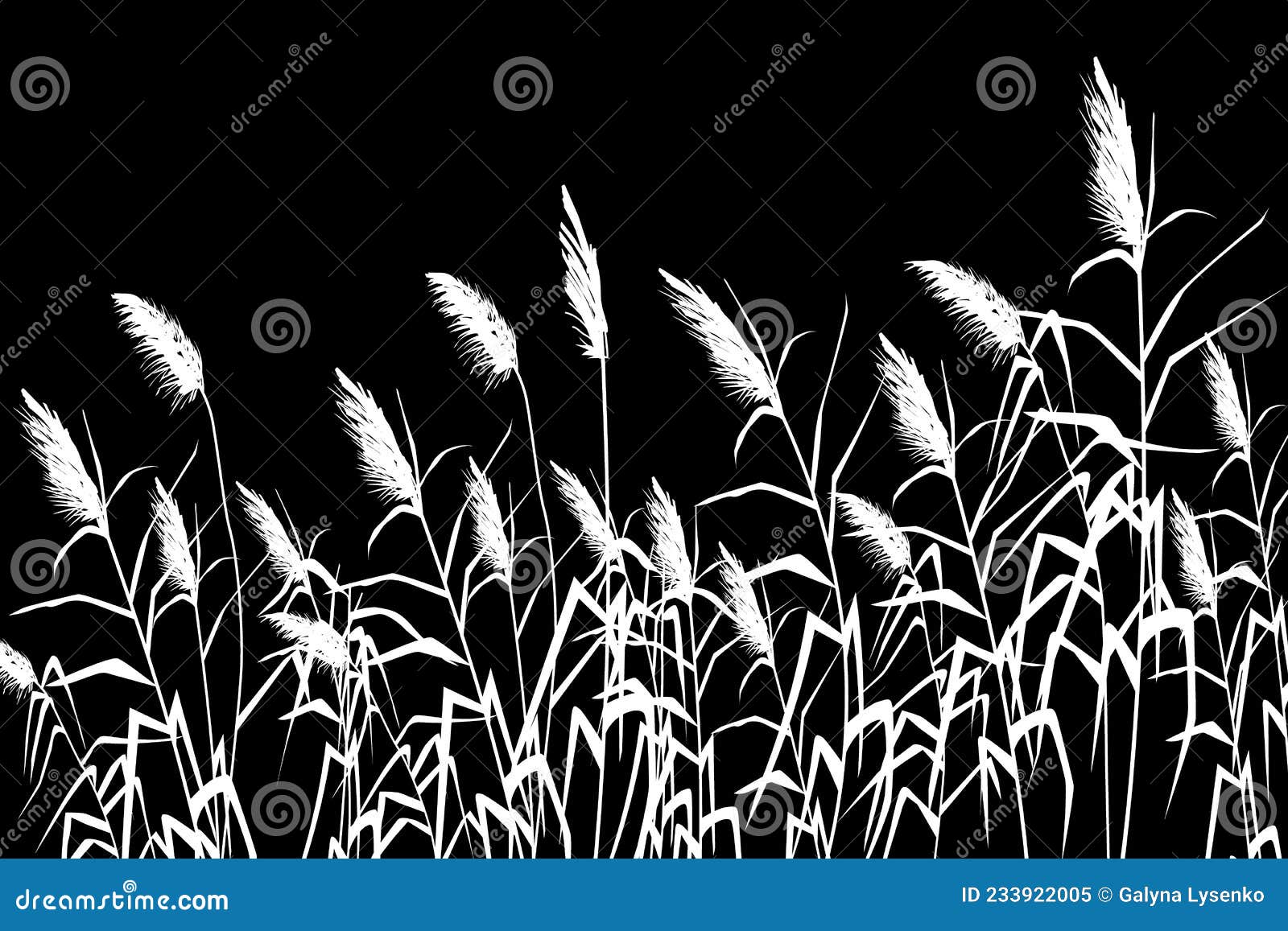 Vectorhandtekeningen Met Riet of Riet. Afbeelding Van Zwart-wit ...