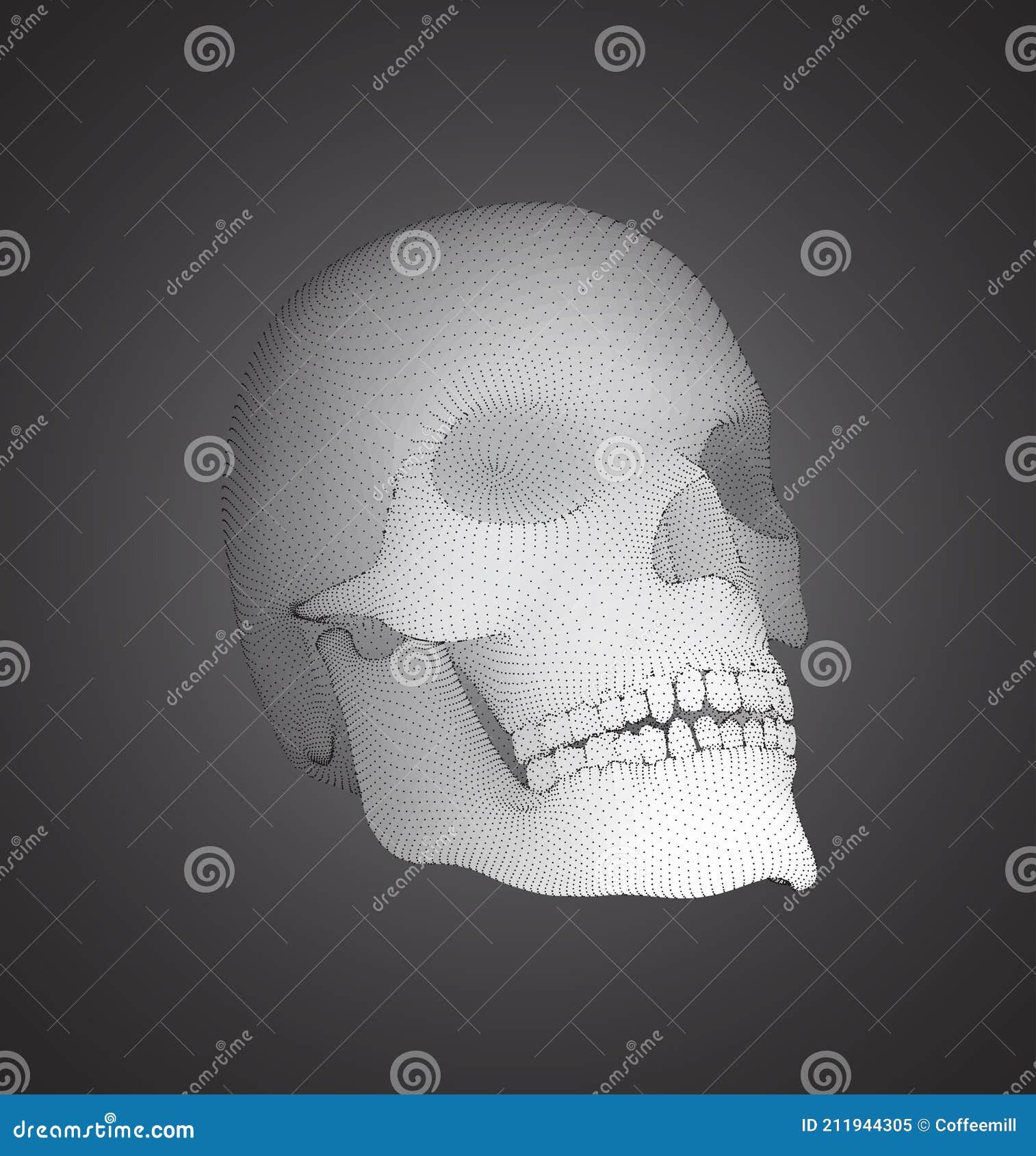 Vectorial Set of Human Skulls with Square and Triangular Stock Vector ...