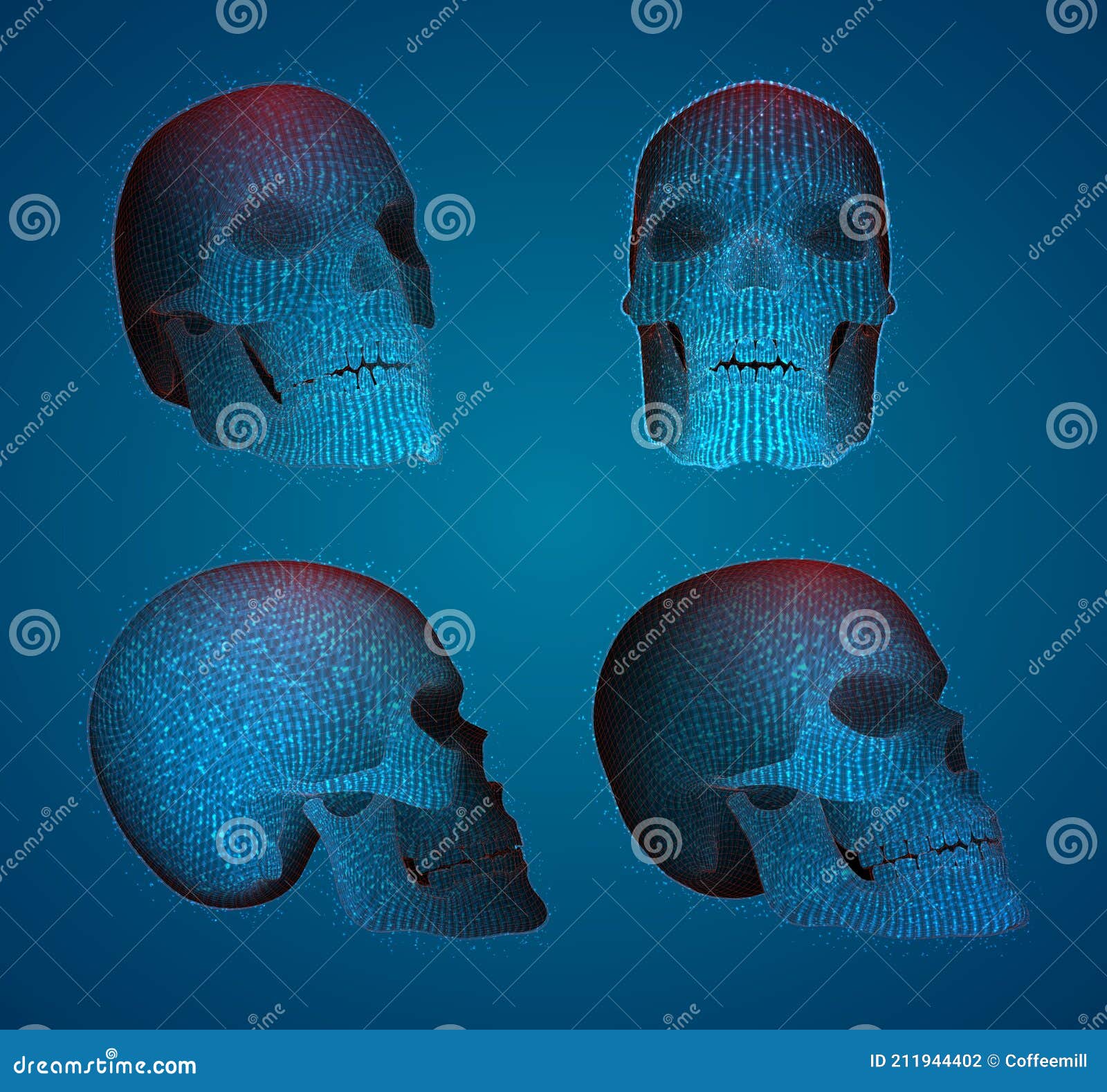 Vectorial Set of Human Skulls Stock Vector - Illustration of polygon ...