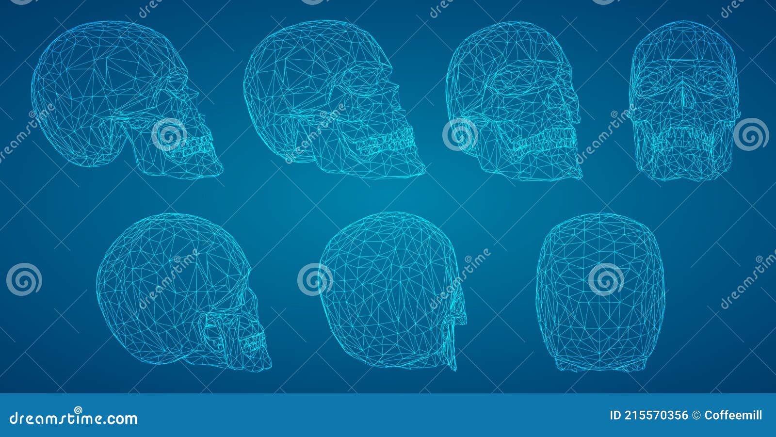 Vectorial Set of Human Skulls Stock Vector - Illustration of group ...