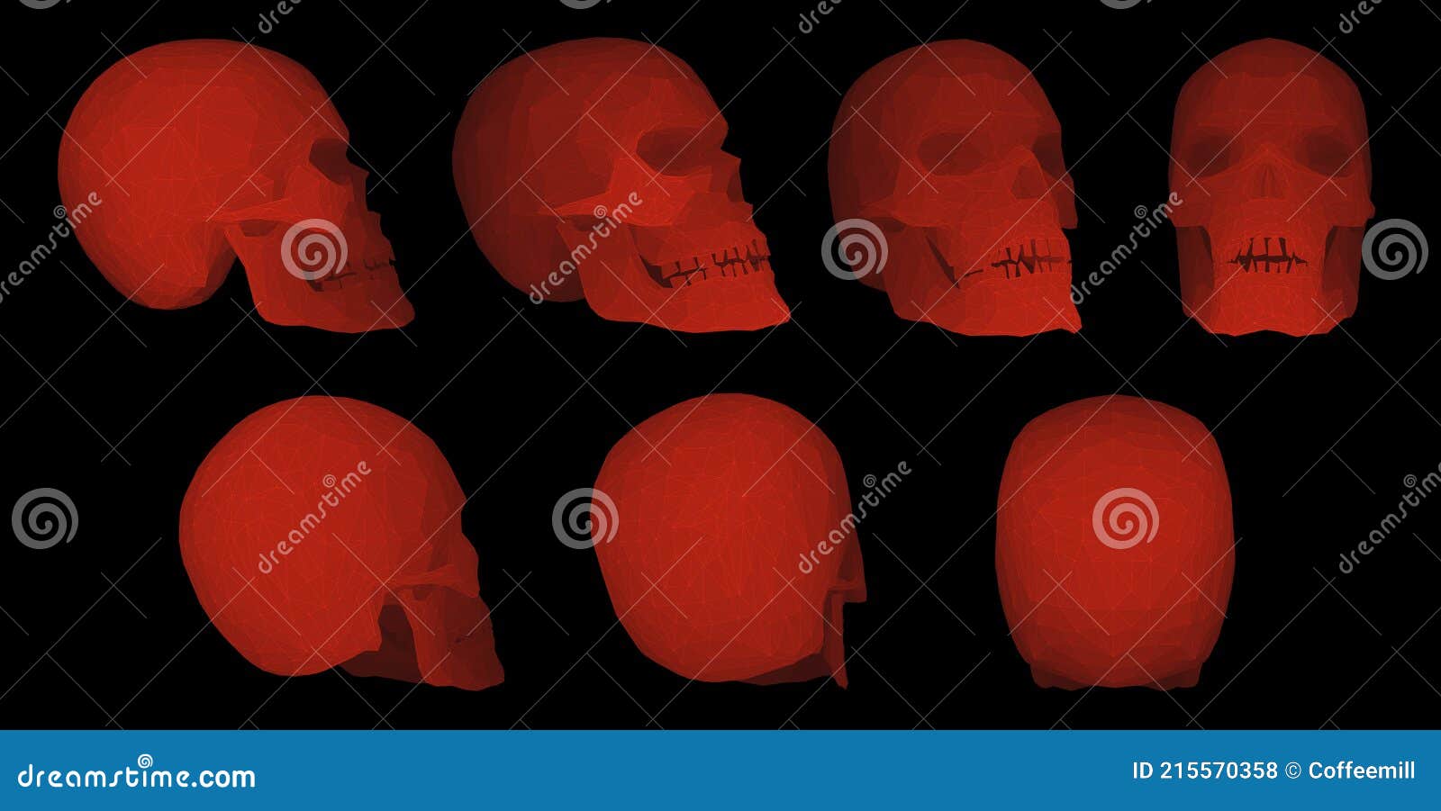 Vectorial Set of Human Skulls Stock Vector - Illustration of skull ...