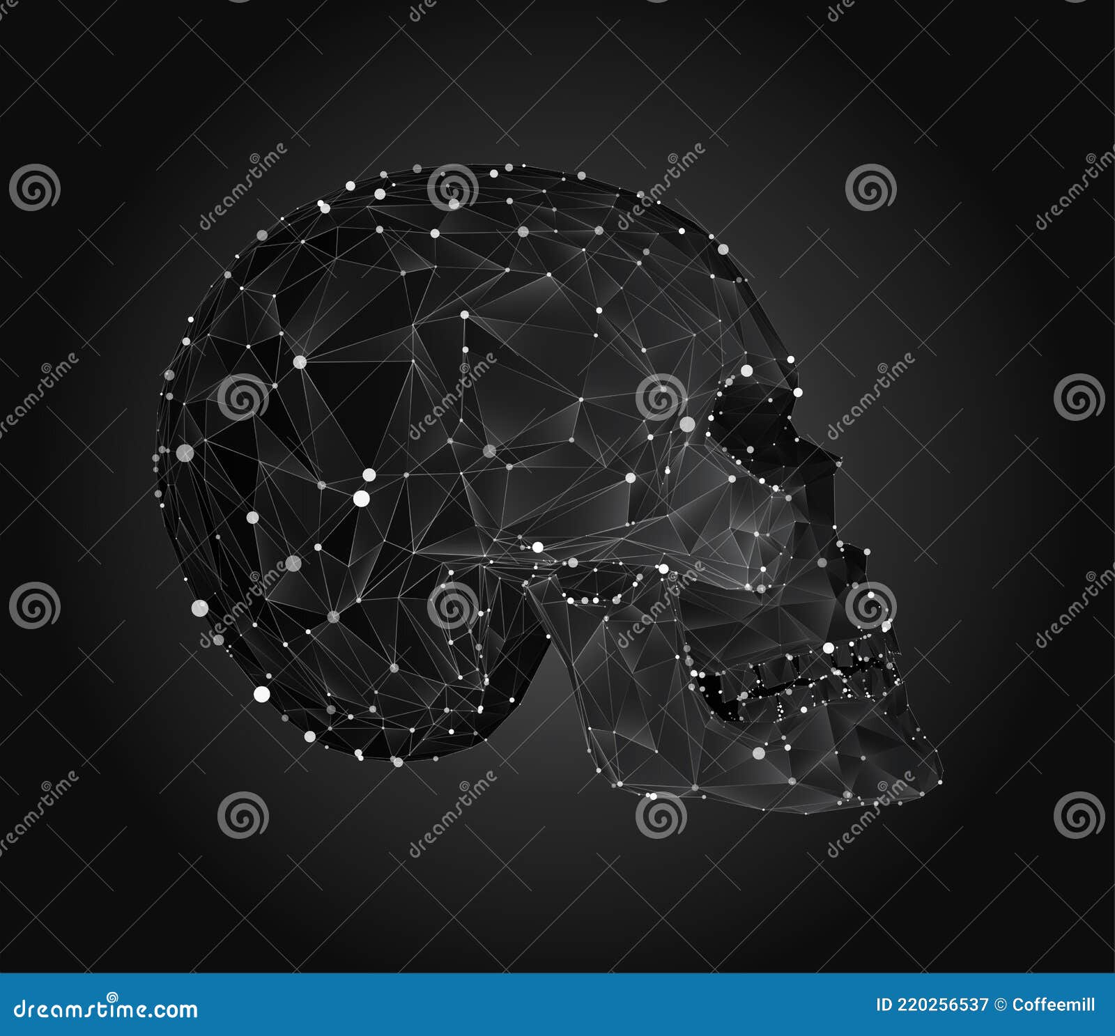 Vectorial Set of Human Skulls Stock Vector - Illustration of elix ...